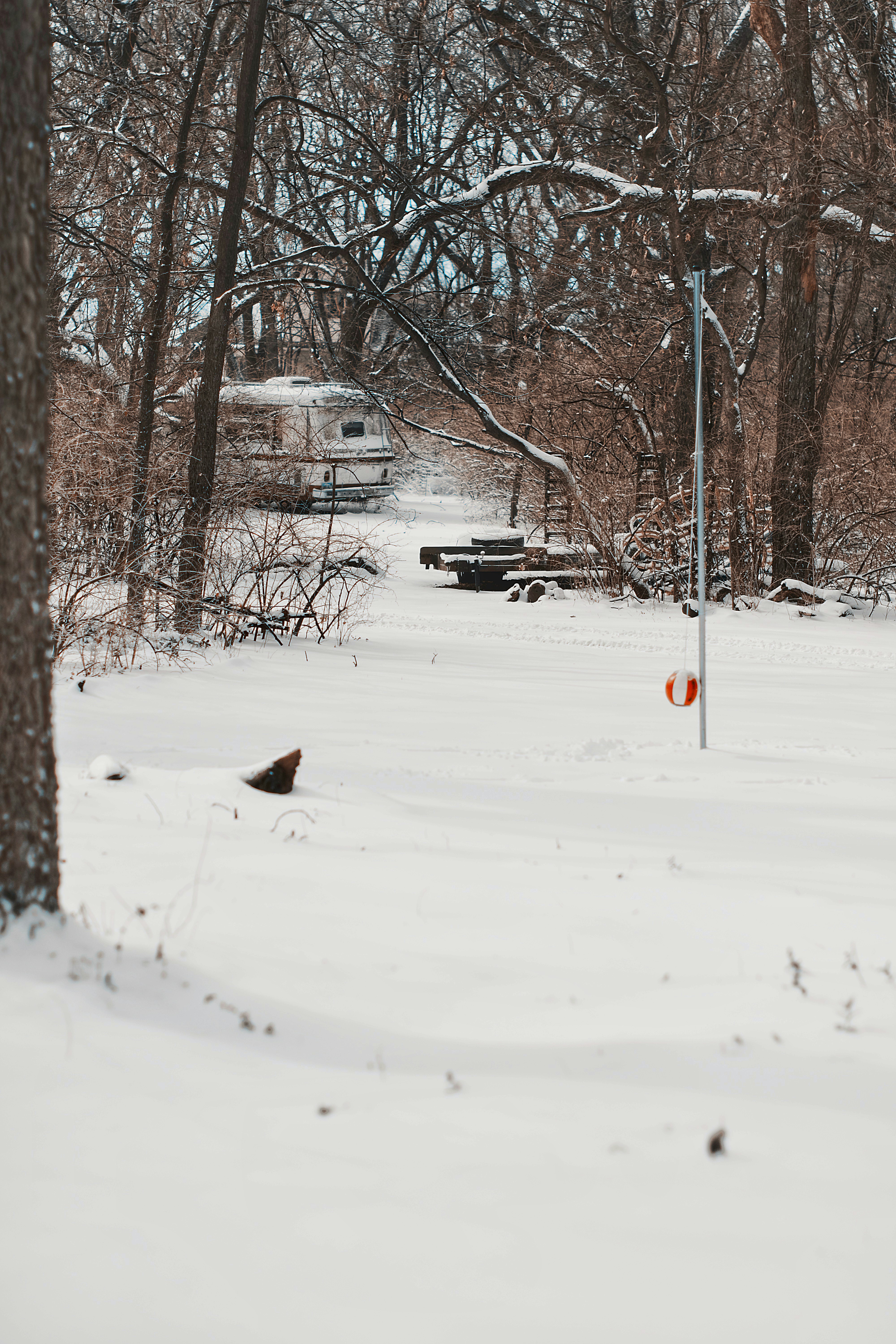 Winter Campground: A Distant Caravan Amid Snow-Kissed Pines