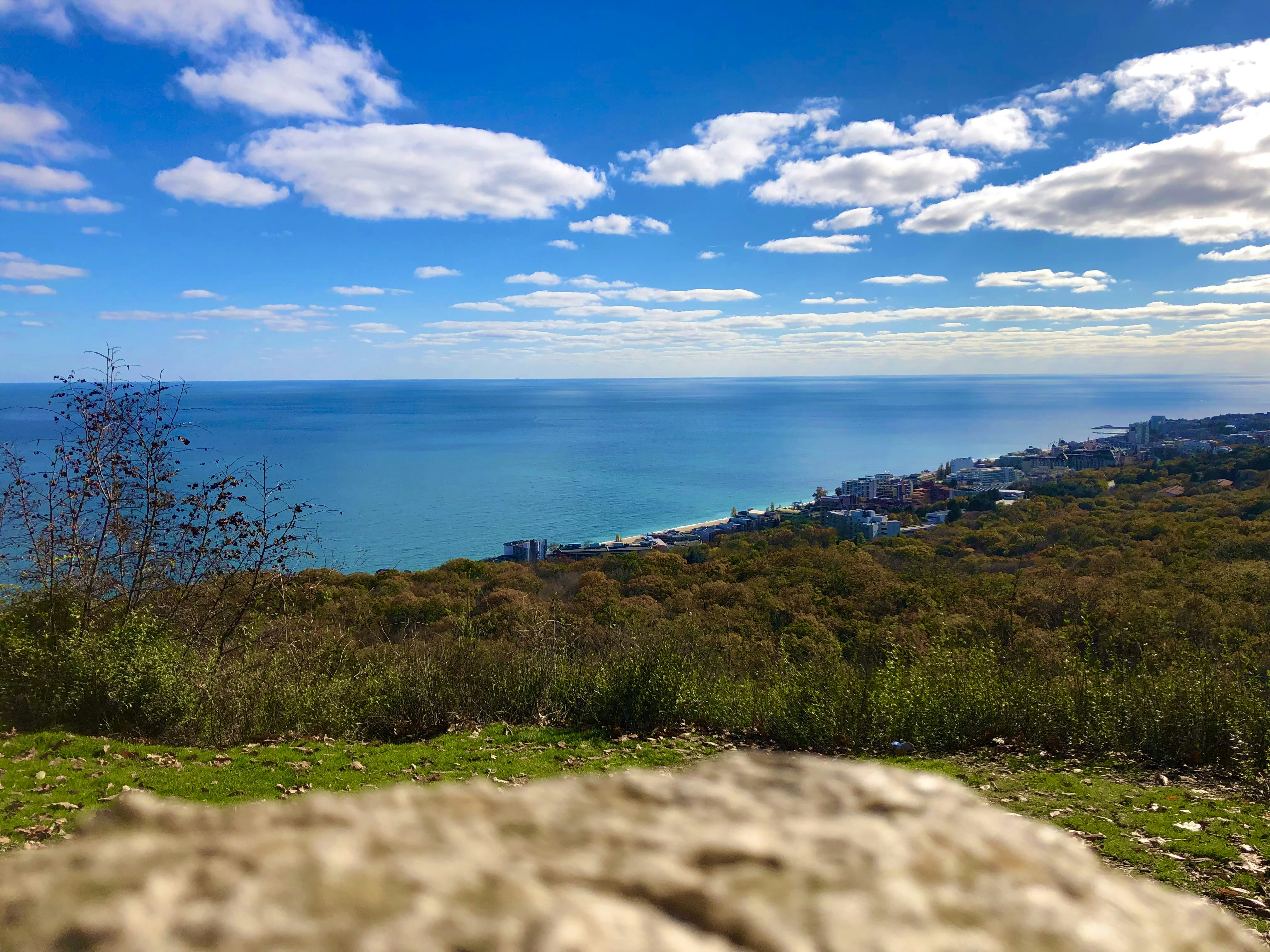 A panoramic coastal view showcasing the serene blue ocean meeting the horizon, framed by lush greenery and distant buildings. The foreground features a rocky outcrop adding depth to the scene.