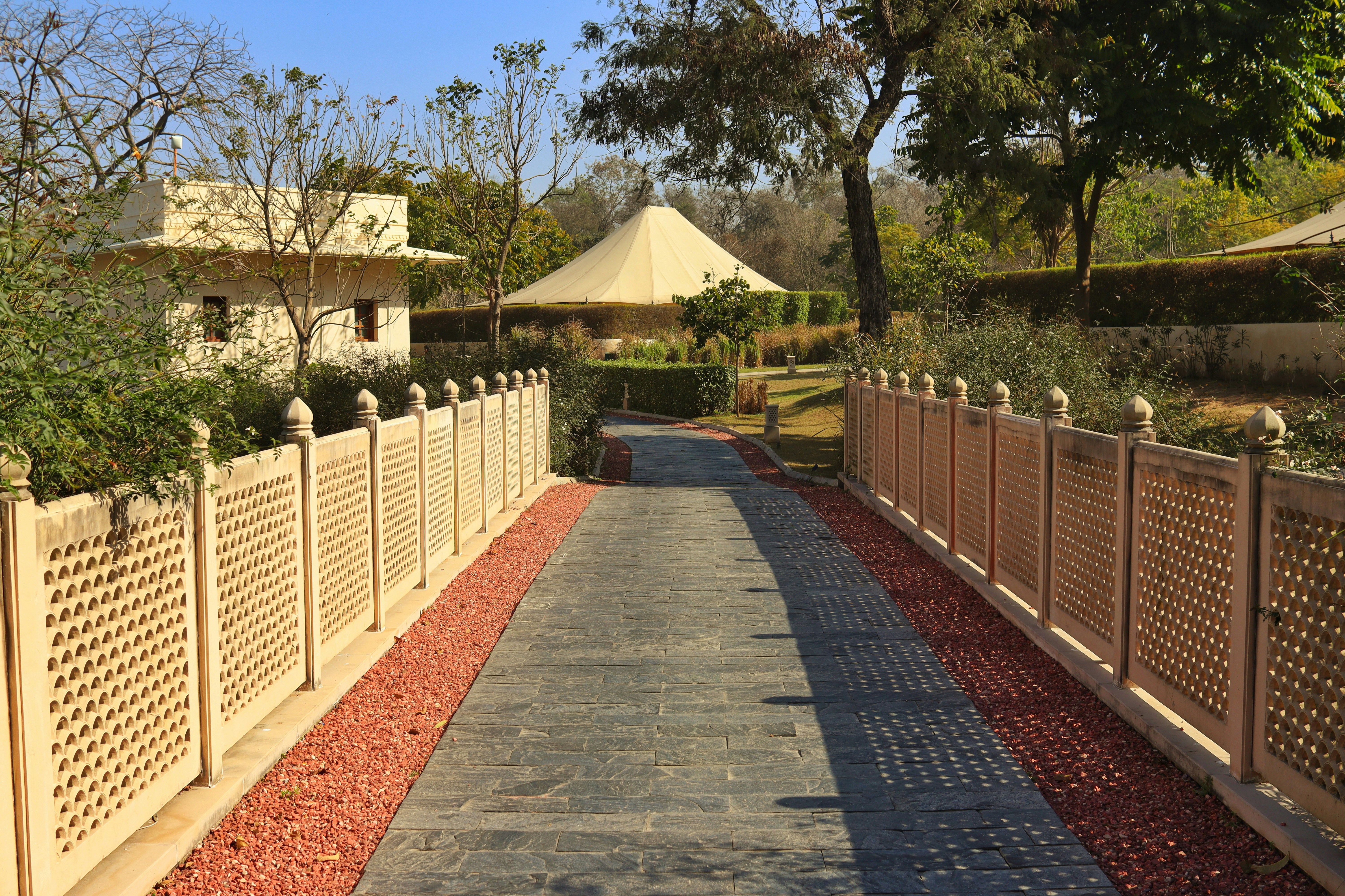 Vanishing Path: Sunlit Corridor Toward the Garden Tent