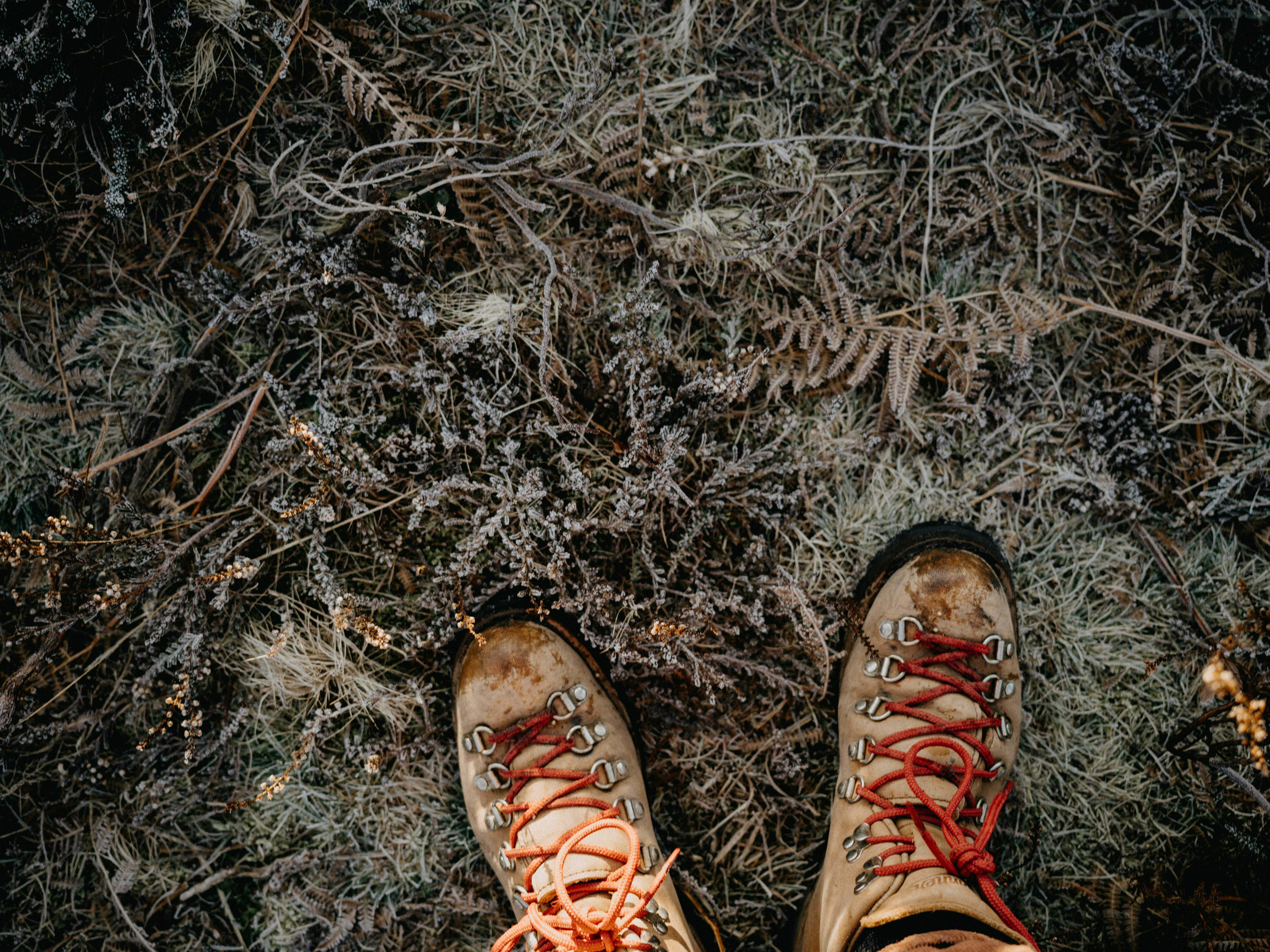 Ein Paar Wanderschuhe auf einem grasbedeckten Feld Foto – Kostenloses ...