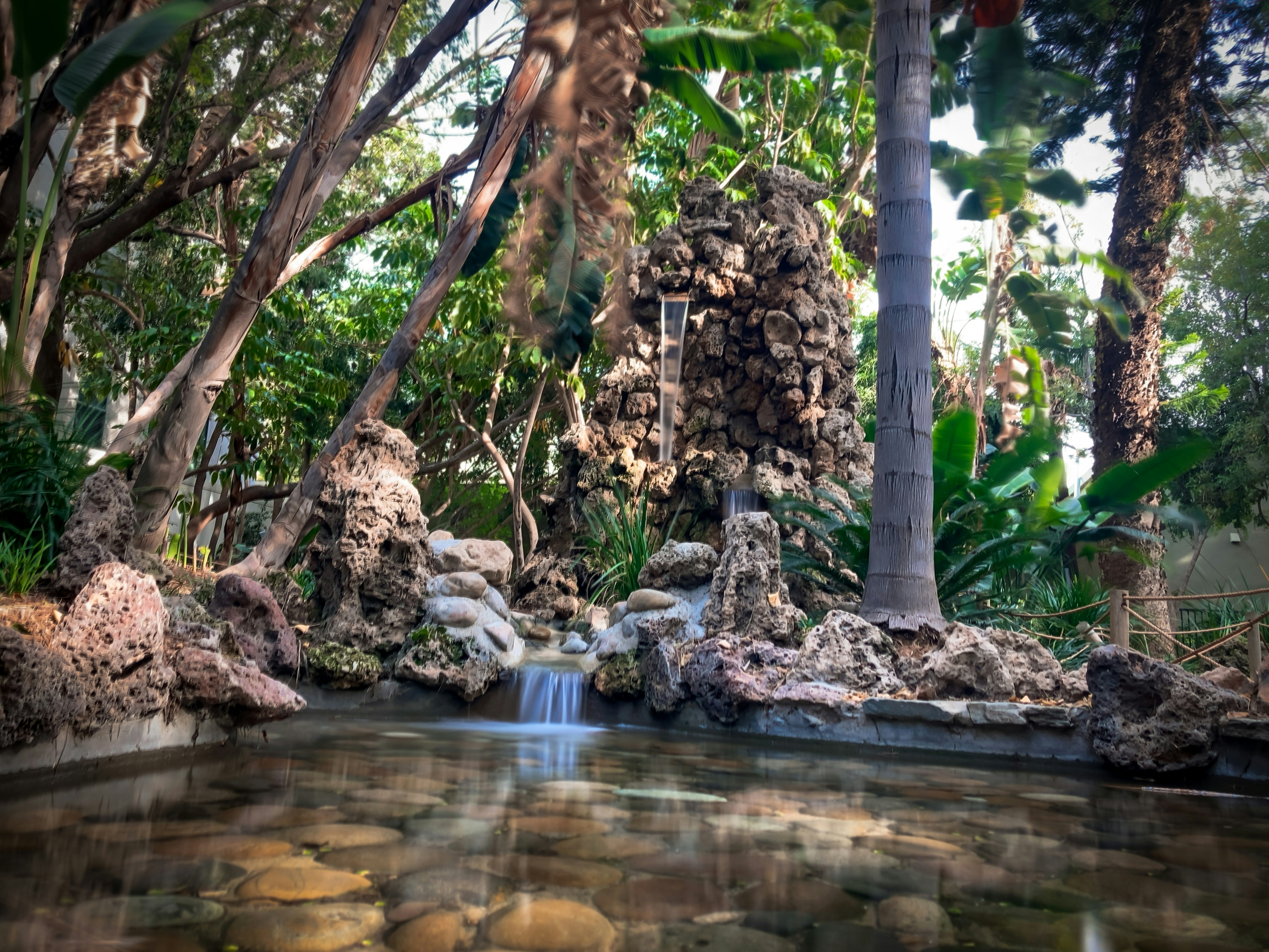 A small pond surrounded by trees and rocks photo – Free Nature Image on ...