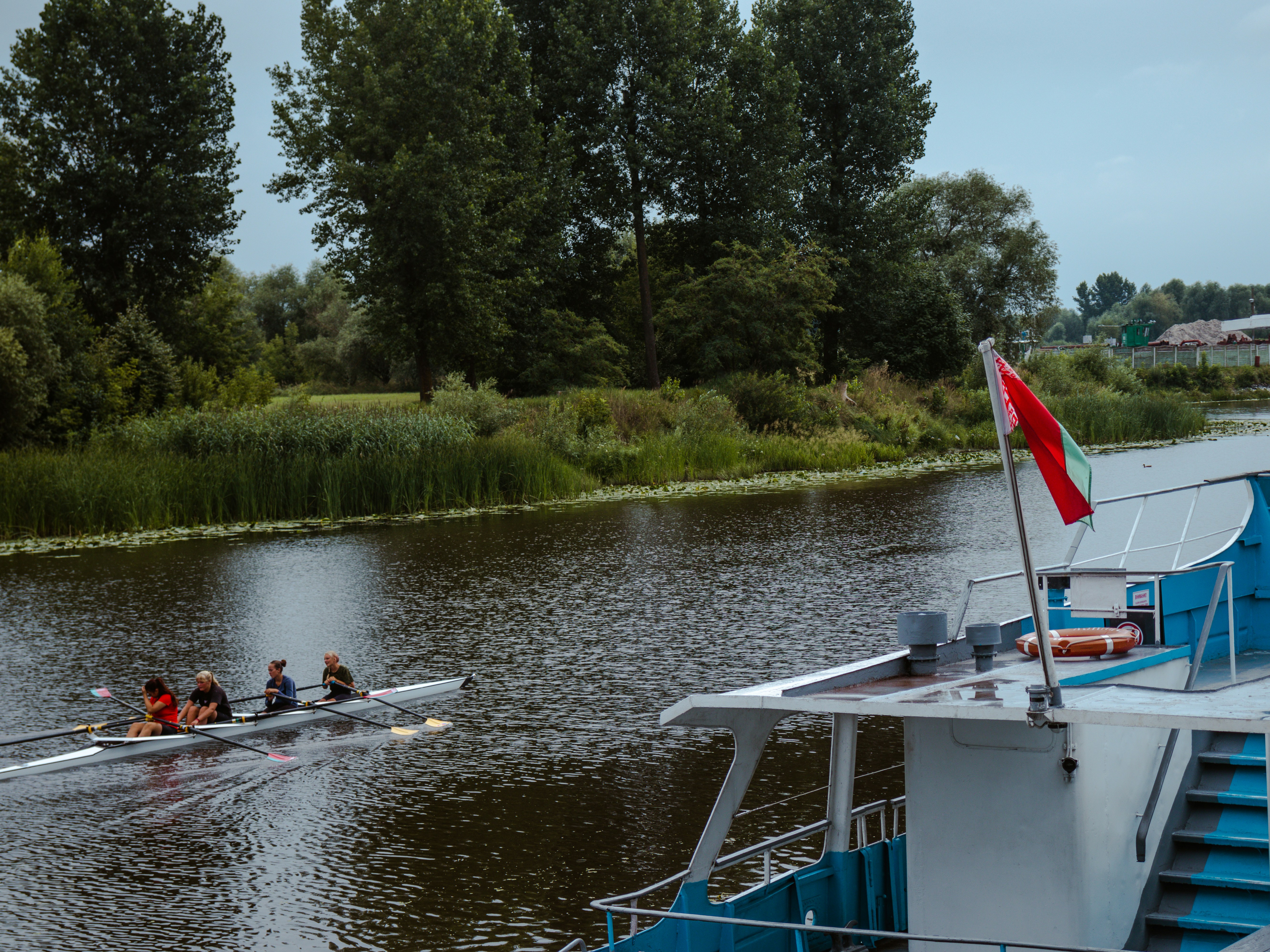 Four rowers navigate a serene river, flanked by lush greenery and a flag-adorned boat. The scene captures the essence of teamwork and tranquility.