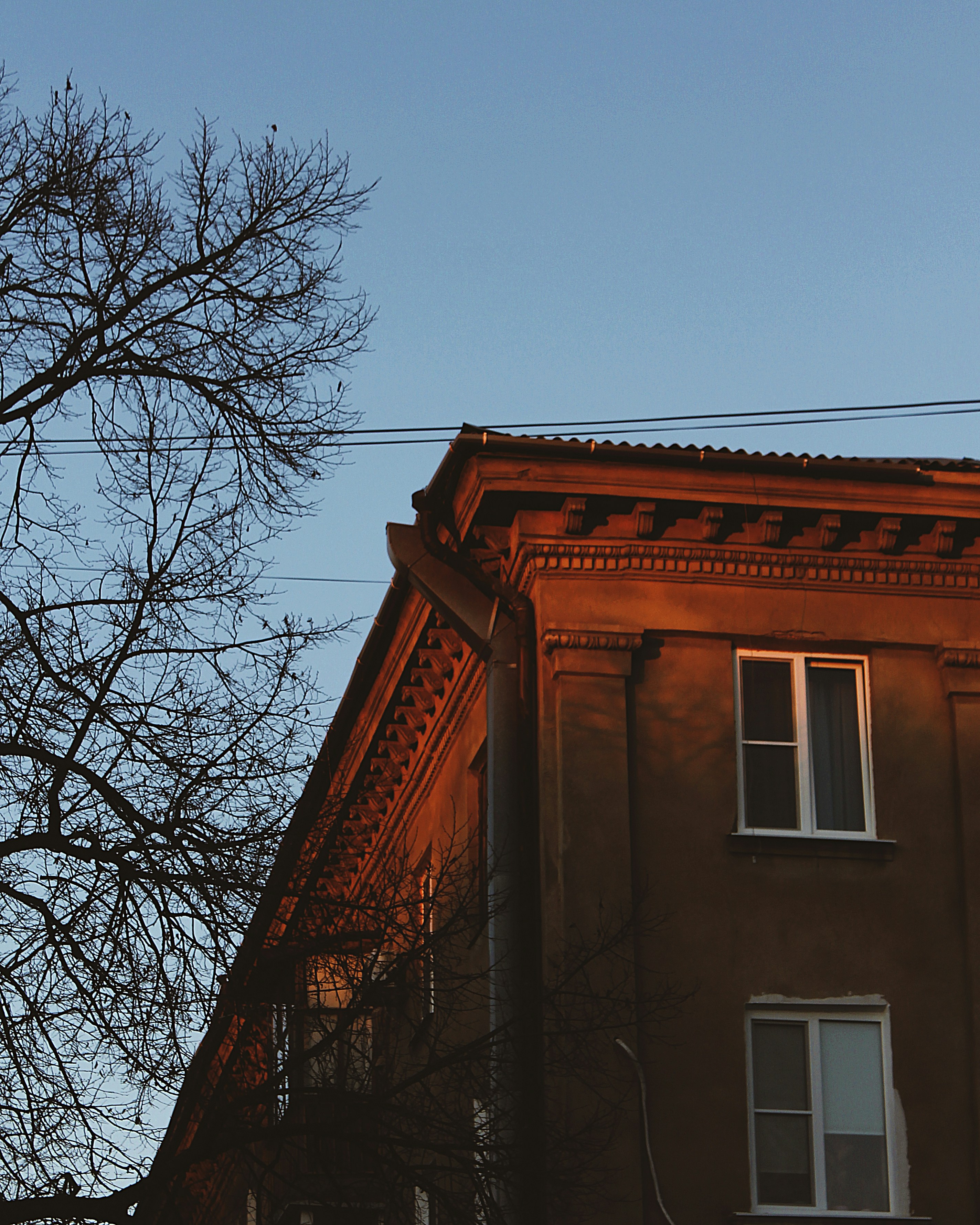 Warm evening light casts shadows on an aged building, framed by the silhouette of a leafless tree against a clear sky.
