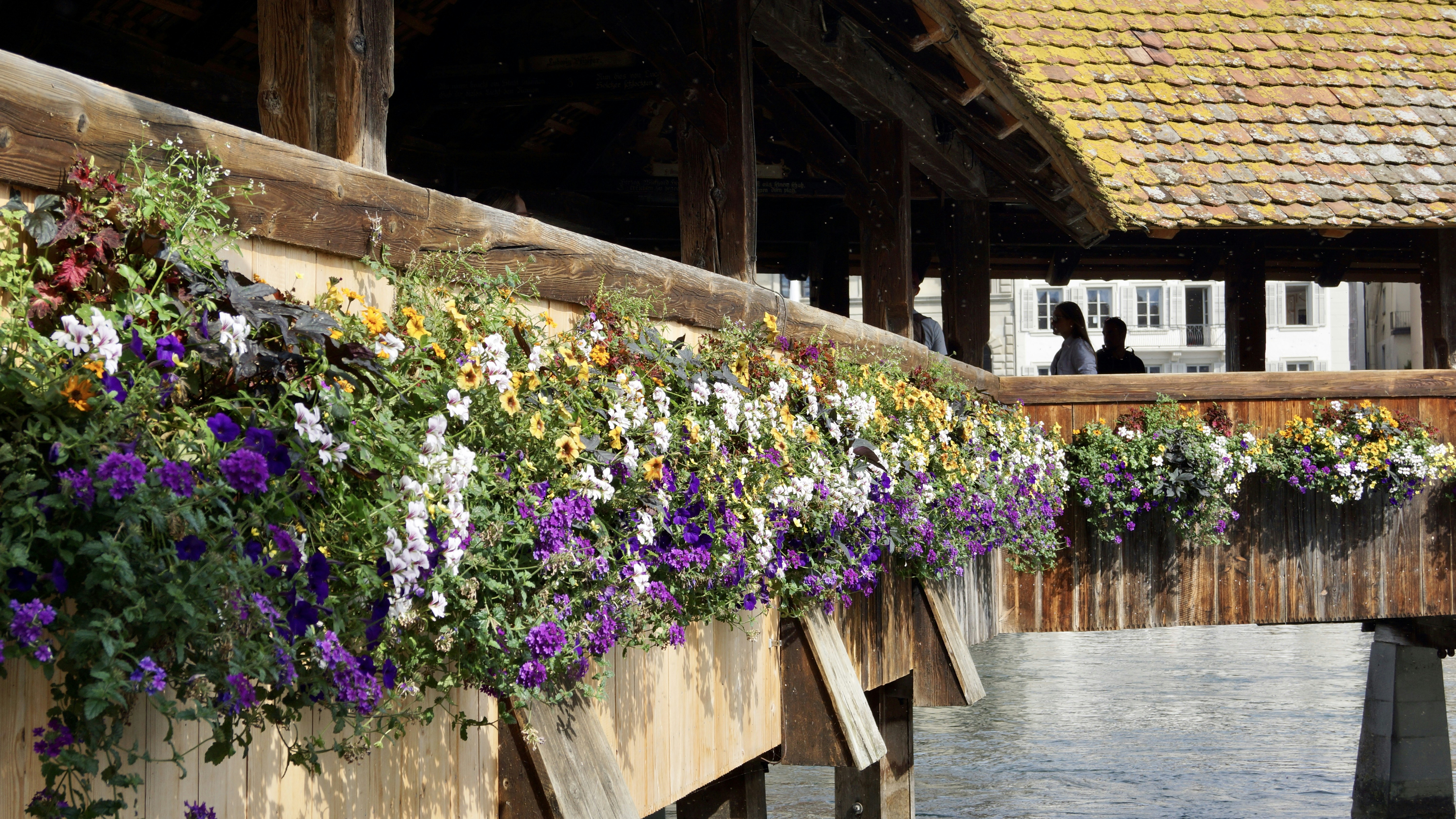 Colorful flowers adorn a wooden bridge with a tiled roof, set against a blurred background of buildings.