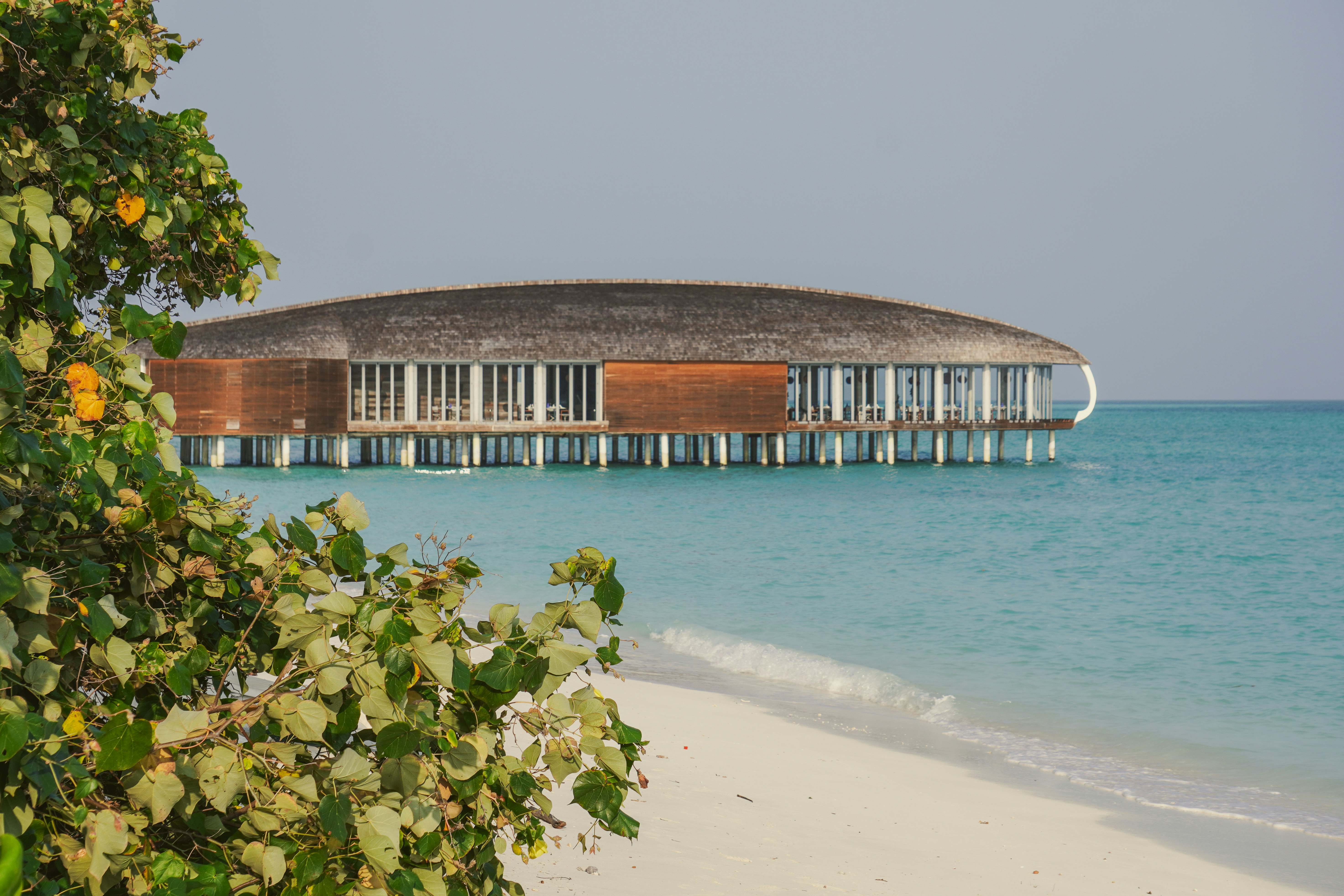 A wooden structure on the beach near the ocean photo – Free Shoreline ...