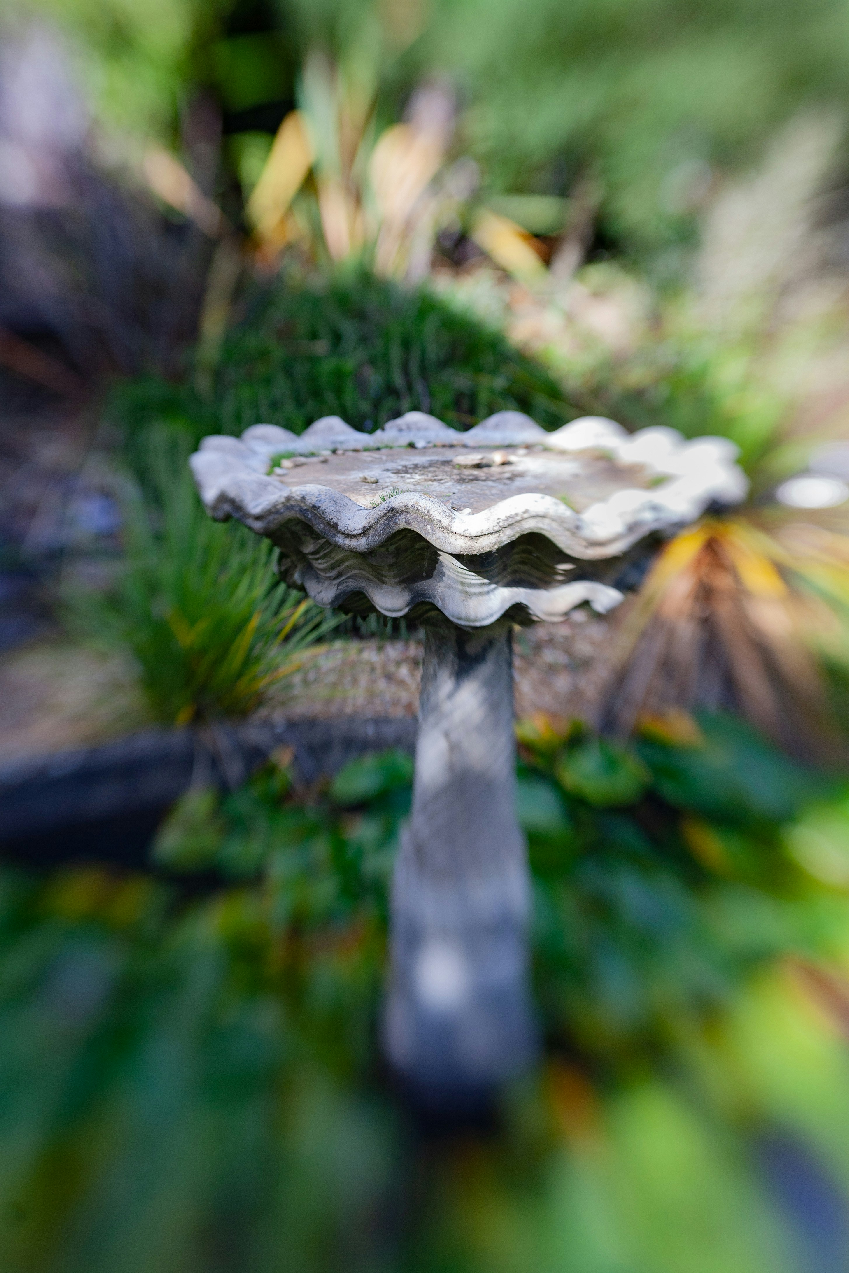 Whispers of Serenity: The Garden's Silent Sentinel