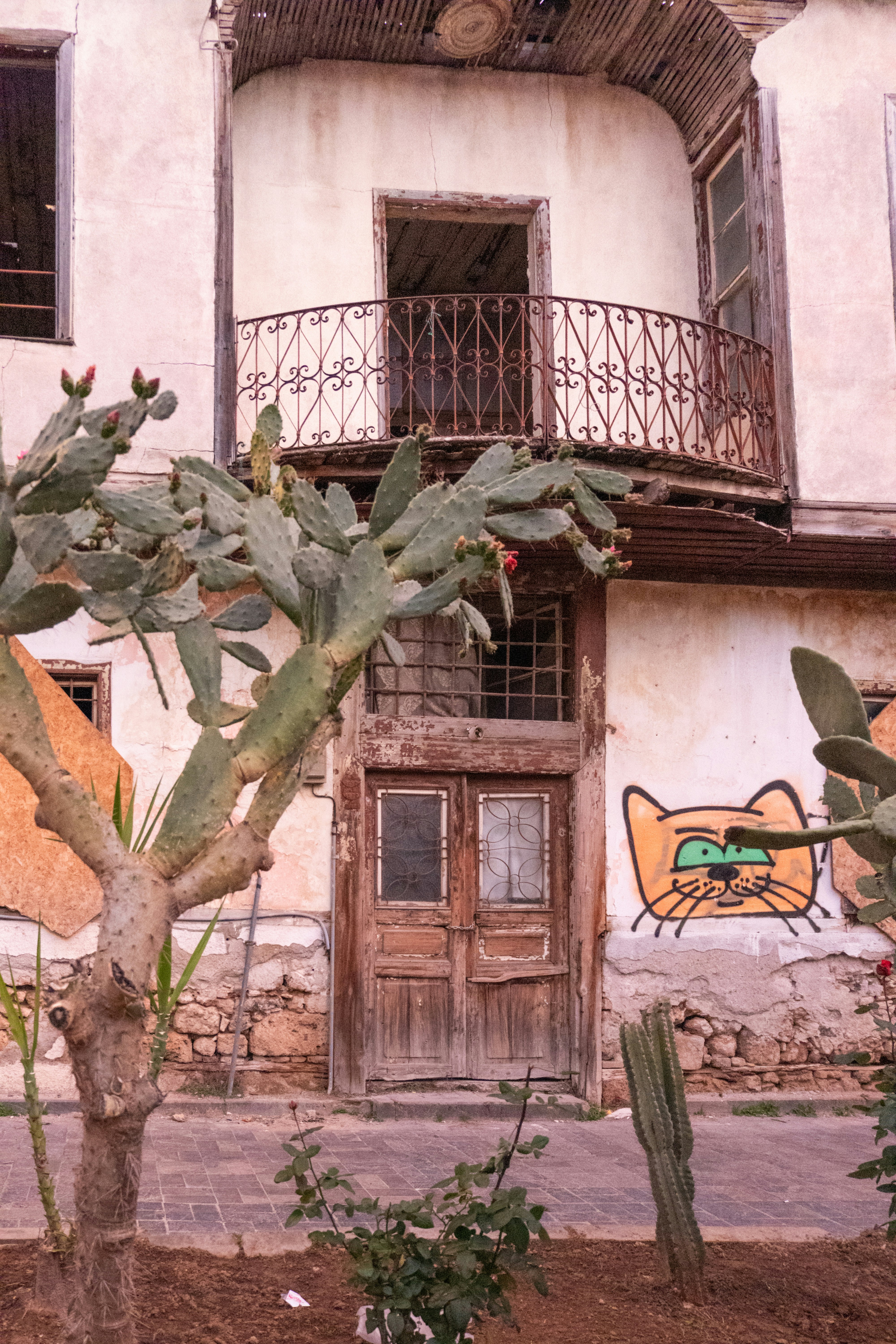 An abandoned building with a charming wooden door and a playful cat mural, surrounded by cacti and vibrant foliage.