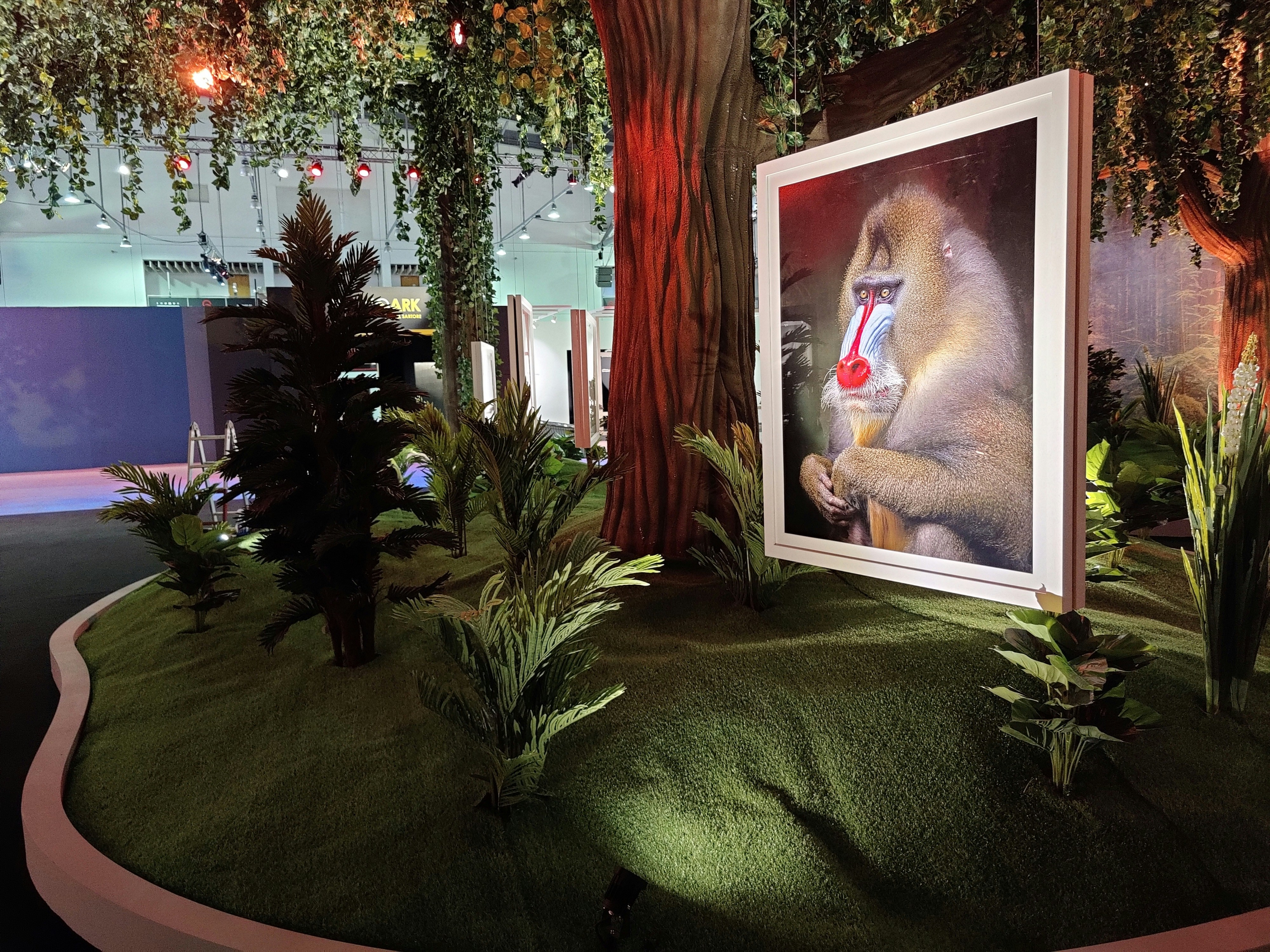 Frame Within a Forest: A Monkey Portrait in an Indoor Exhibit