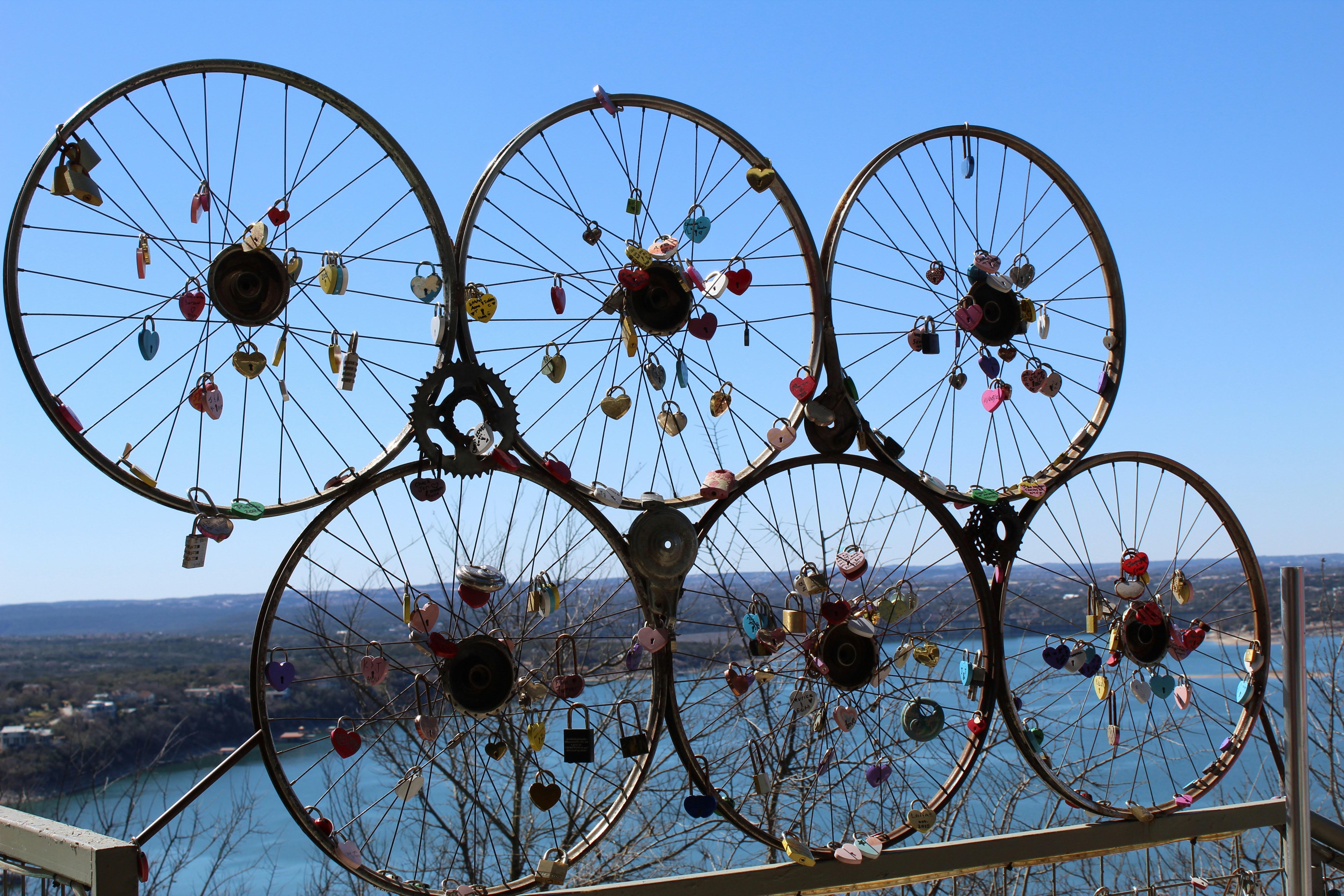 A bunch of bicycles that are hanging on a fence photo – Free Blue Image ...