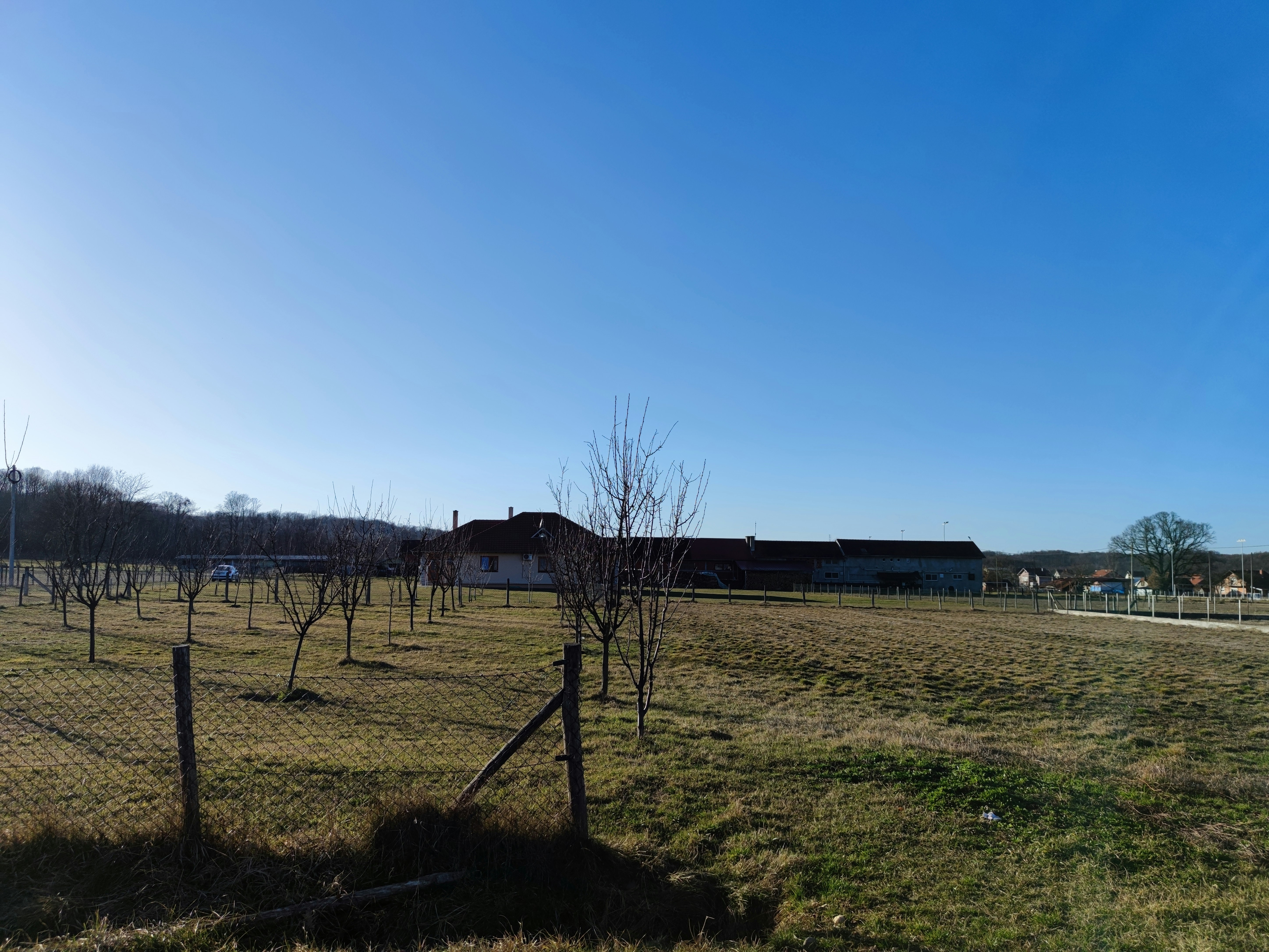 Bare trees dotting a serene field under a clear blue sky, with a distant building nestled in the landscape.