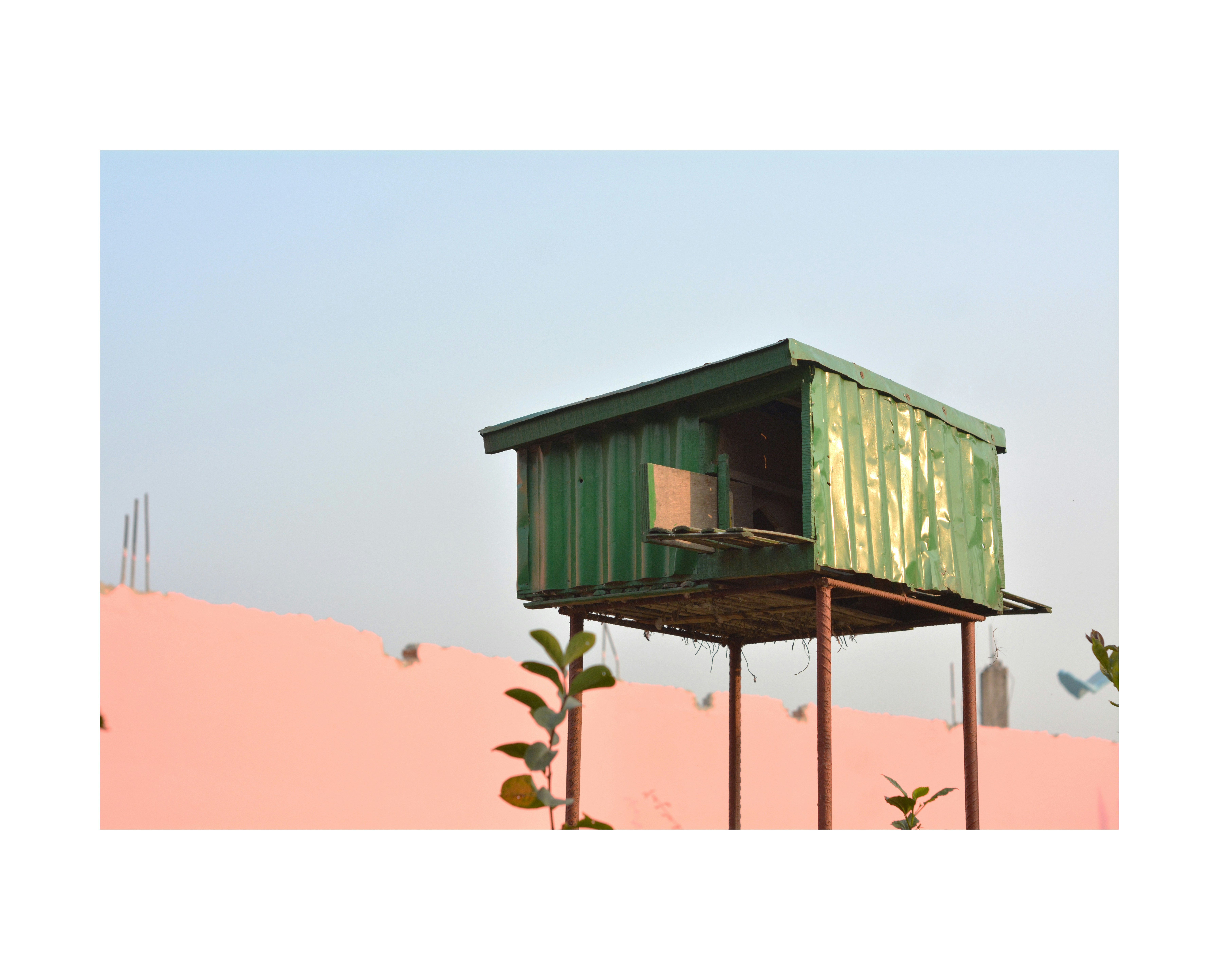 A green birdhouse perched on stilts against a pastel pink backdrop, showcasing a unique blend of colors and textures.
