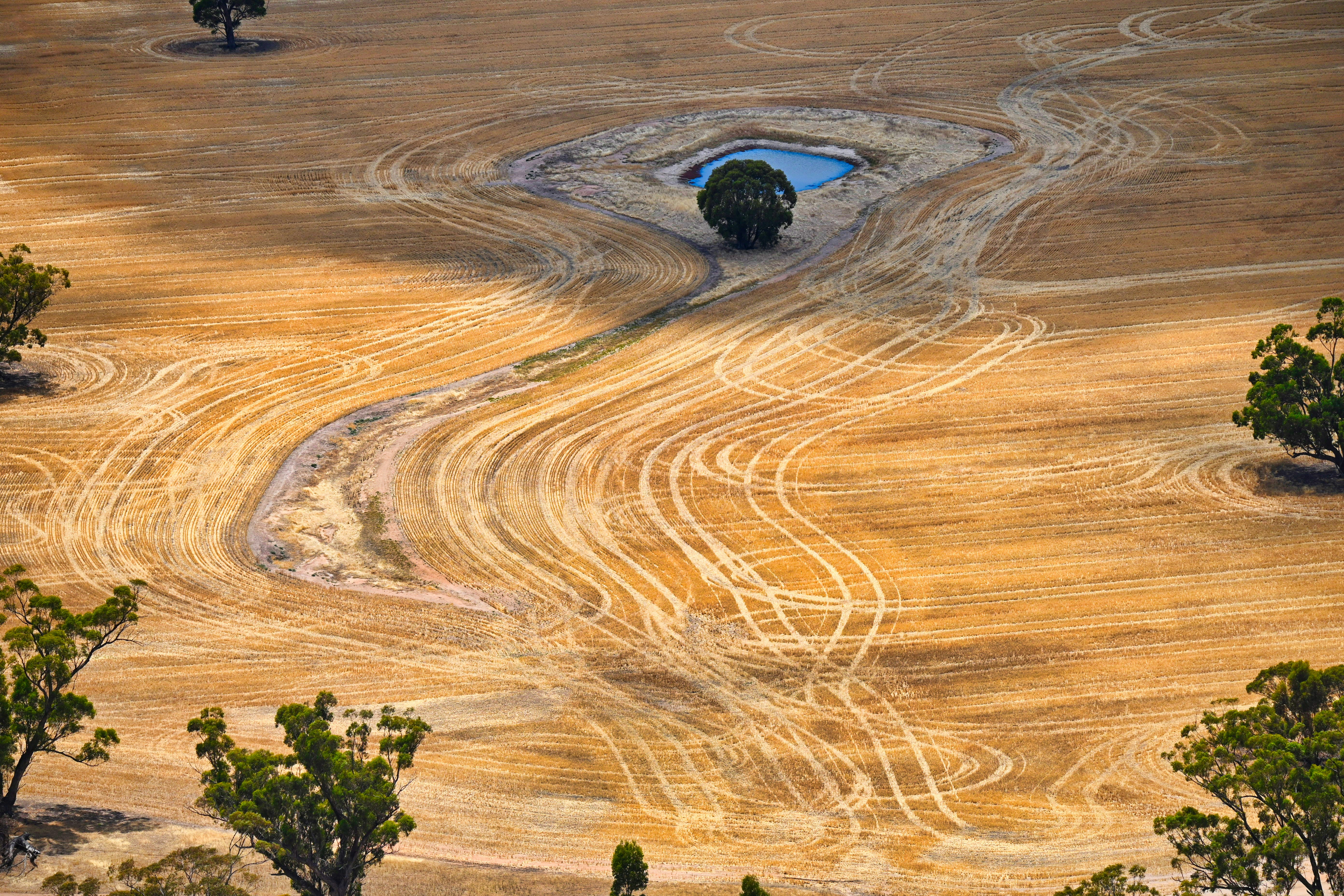 Harvest Trails Converge on a Hidden Waterhole