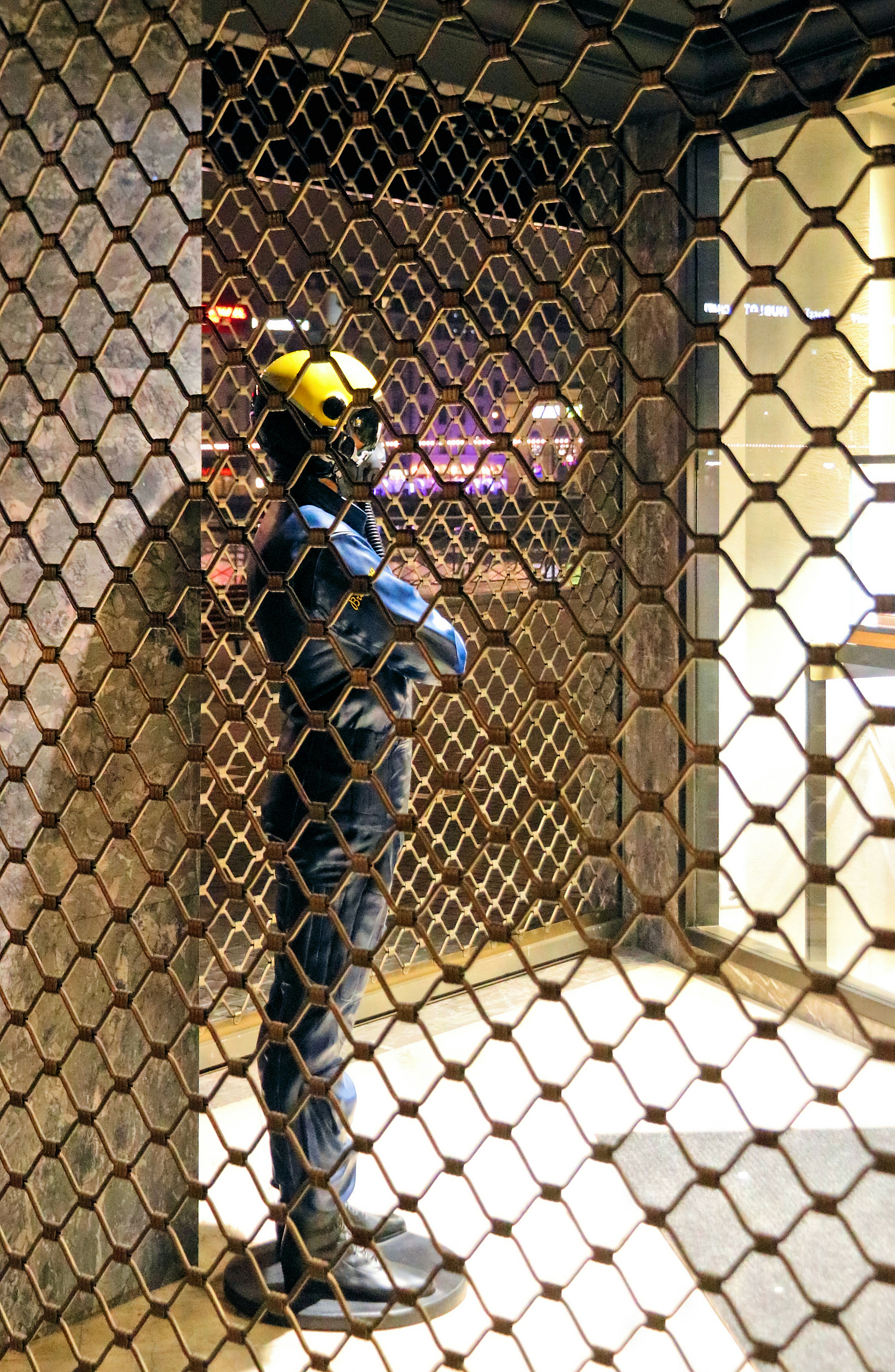 A person standing behind a chain link fence photo – Free Genève Image ...