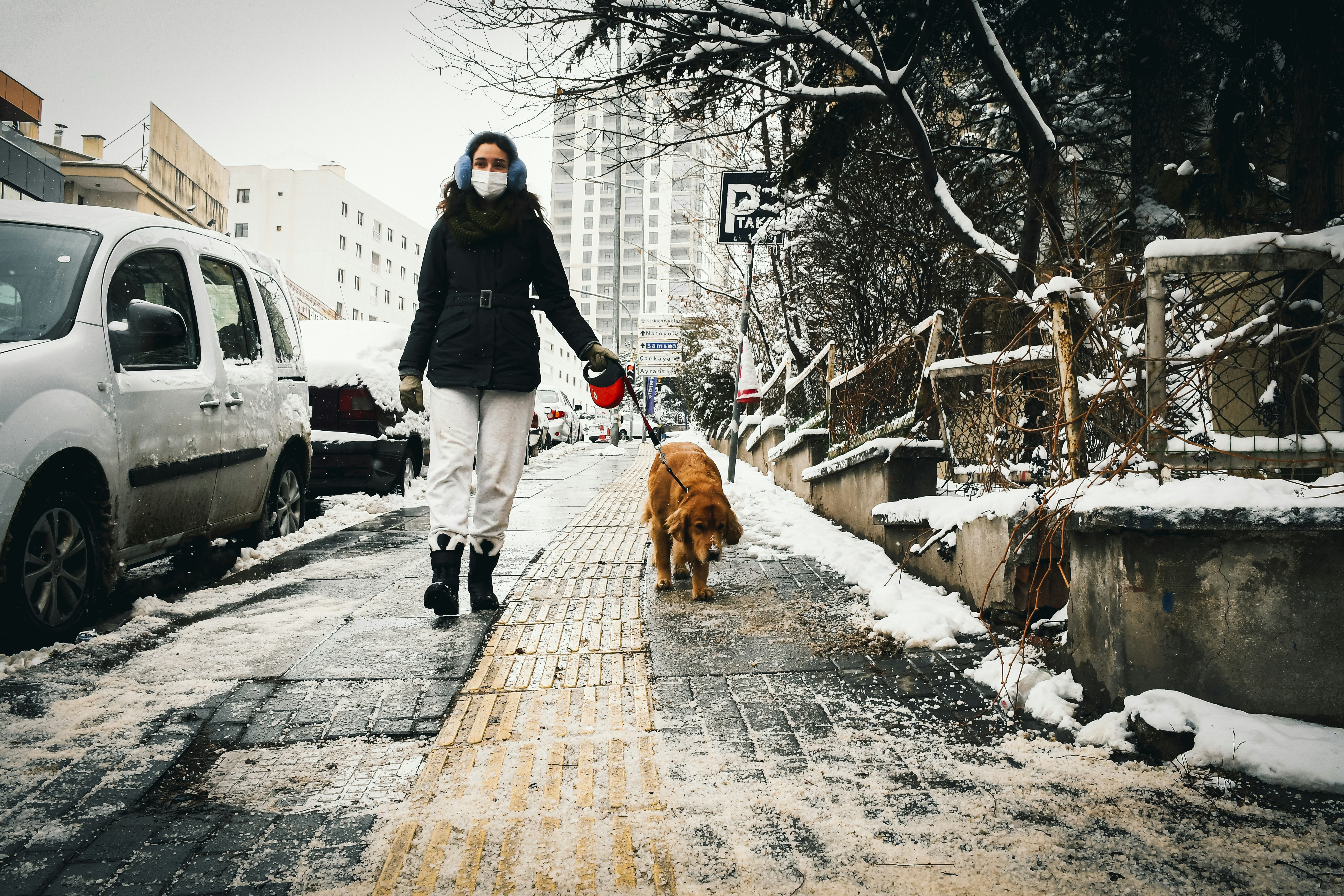 A woman walks her golden retriever along a snowy sidewalk, surrounded by urban buildings and parked cars. The scene captures the essence of winter companionship.