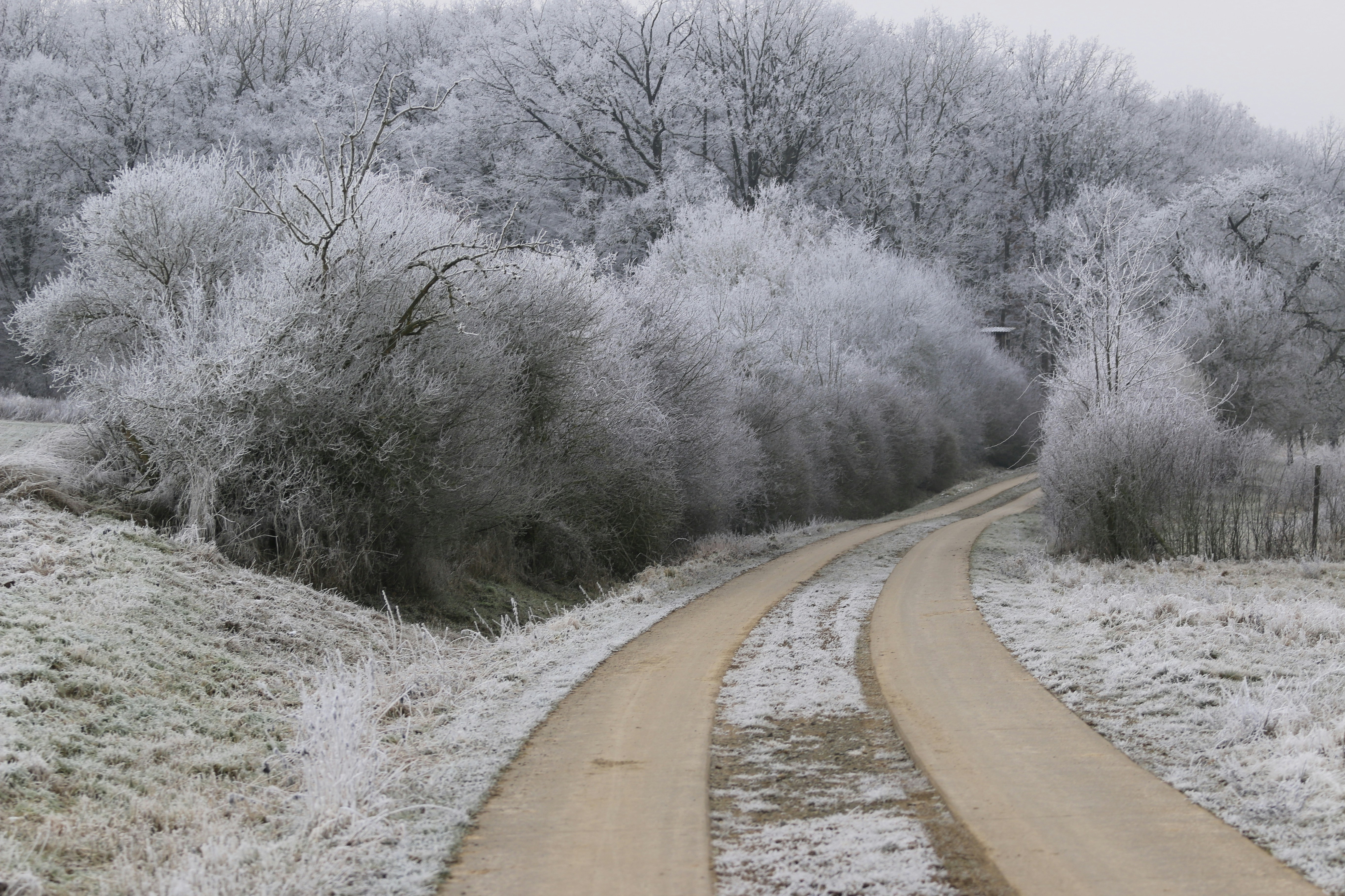 a dirt road in the middle of a snowy field