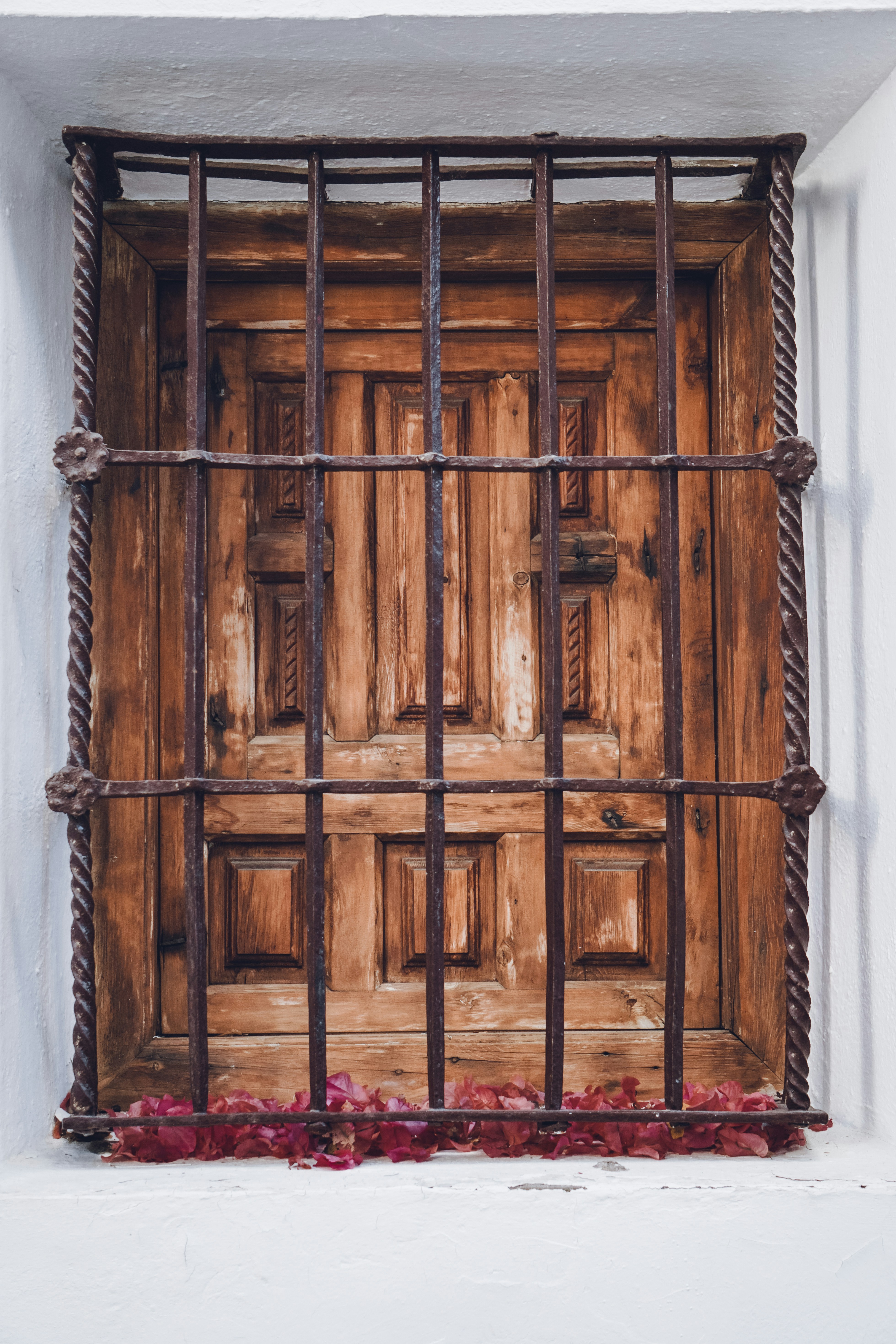 Petals at the Threshold: A Weathered Door Behind Iron Grilles