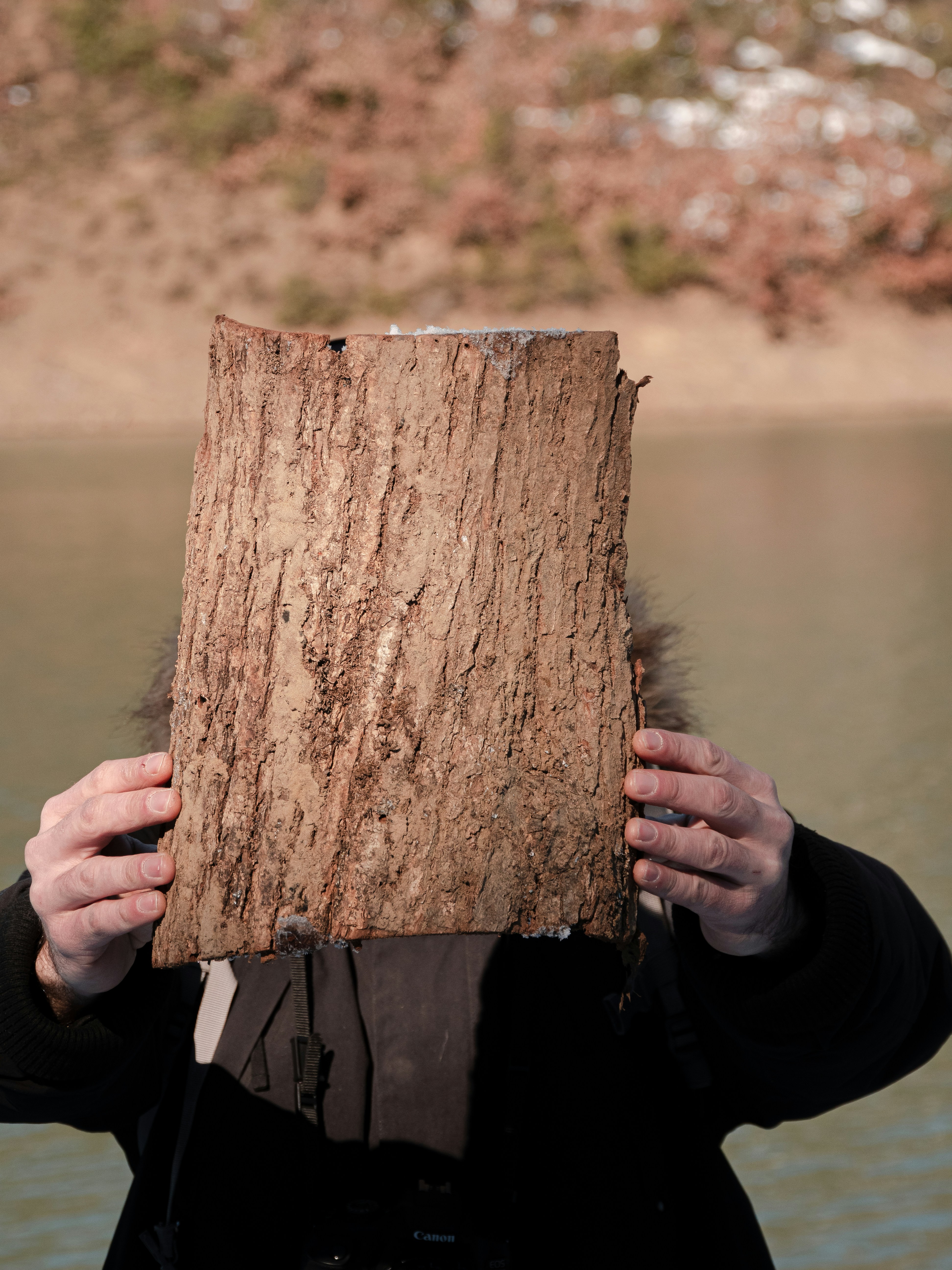 A person holding a piece of wood in front of their face photo – Free ...
