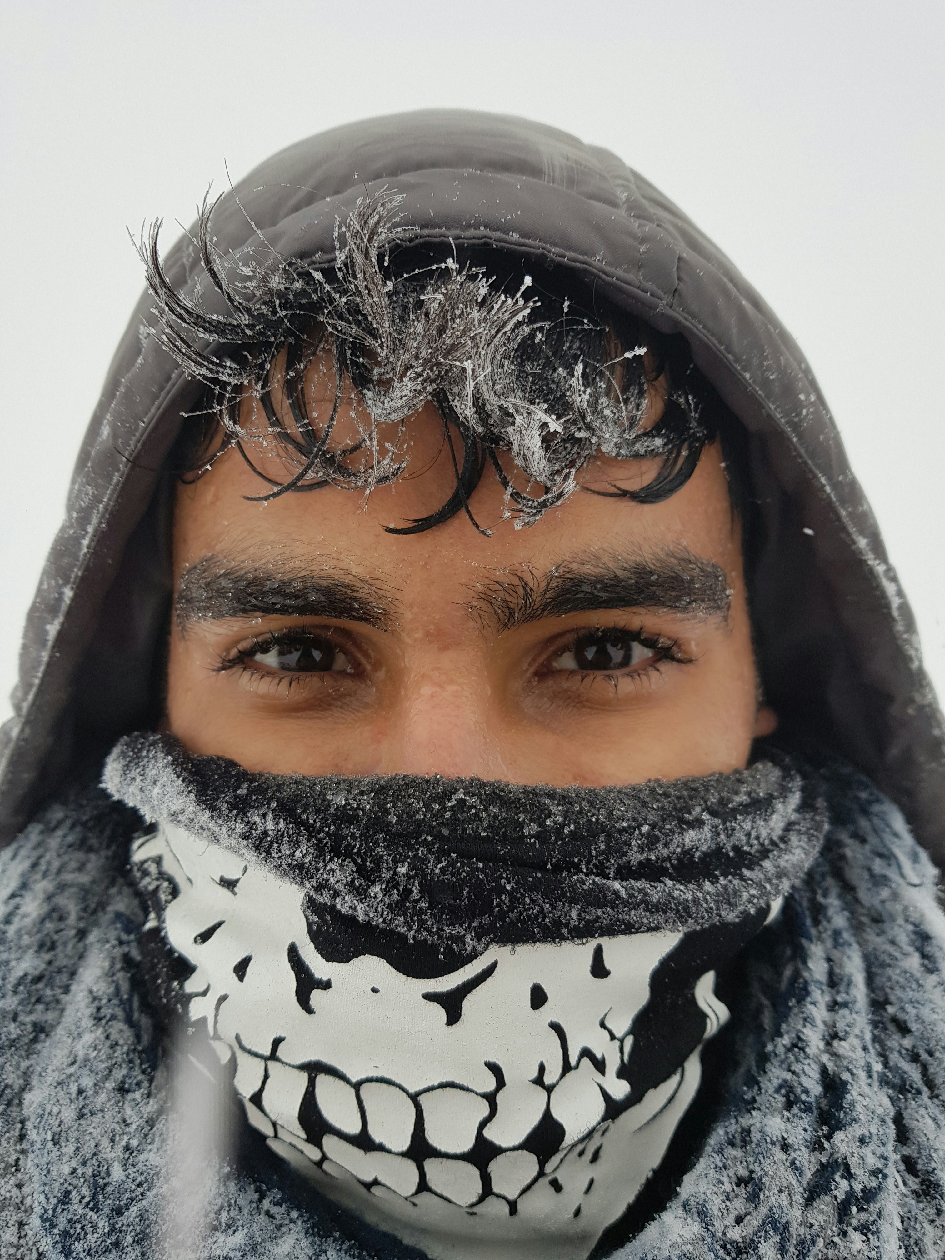 Winter Gaze Through Frost and Skull-Print Scarf