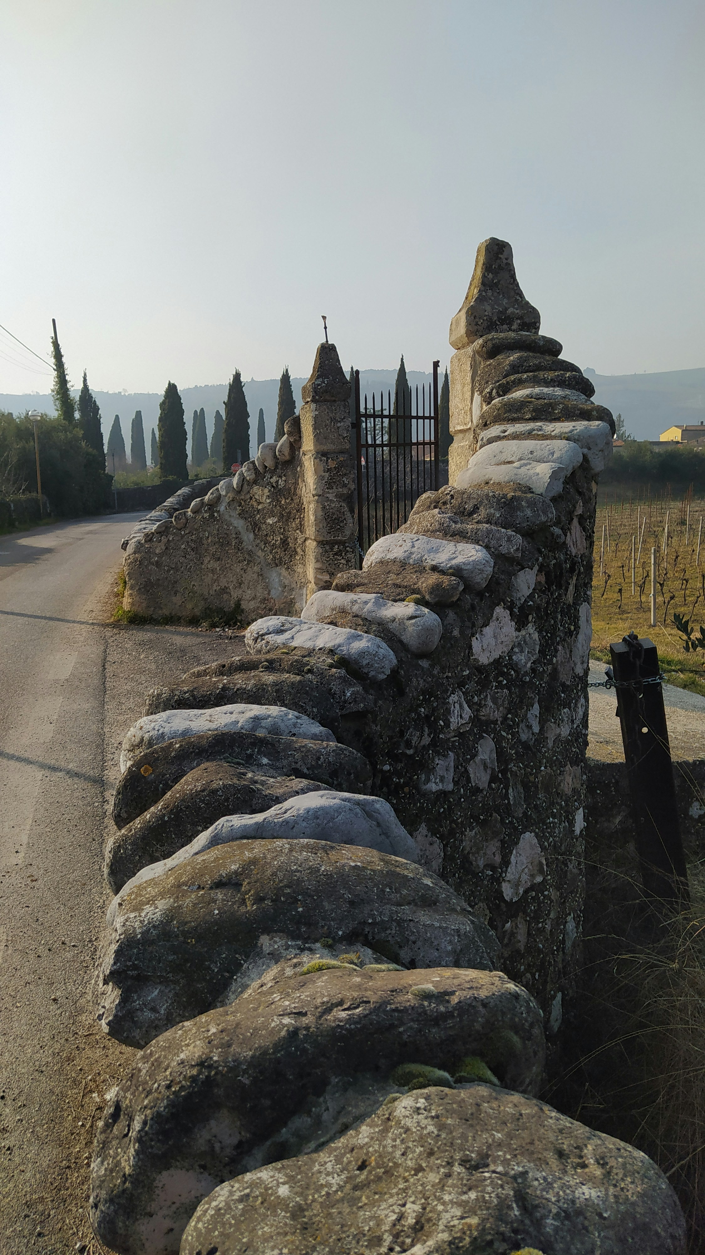 Rugged stone wall runs along a rural road with a distant row of cypress-like trees under soft morning light. The scene emphasizes textures and the aged masonry.