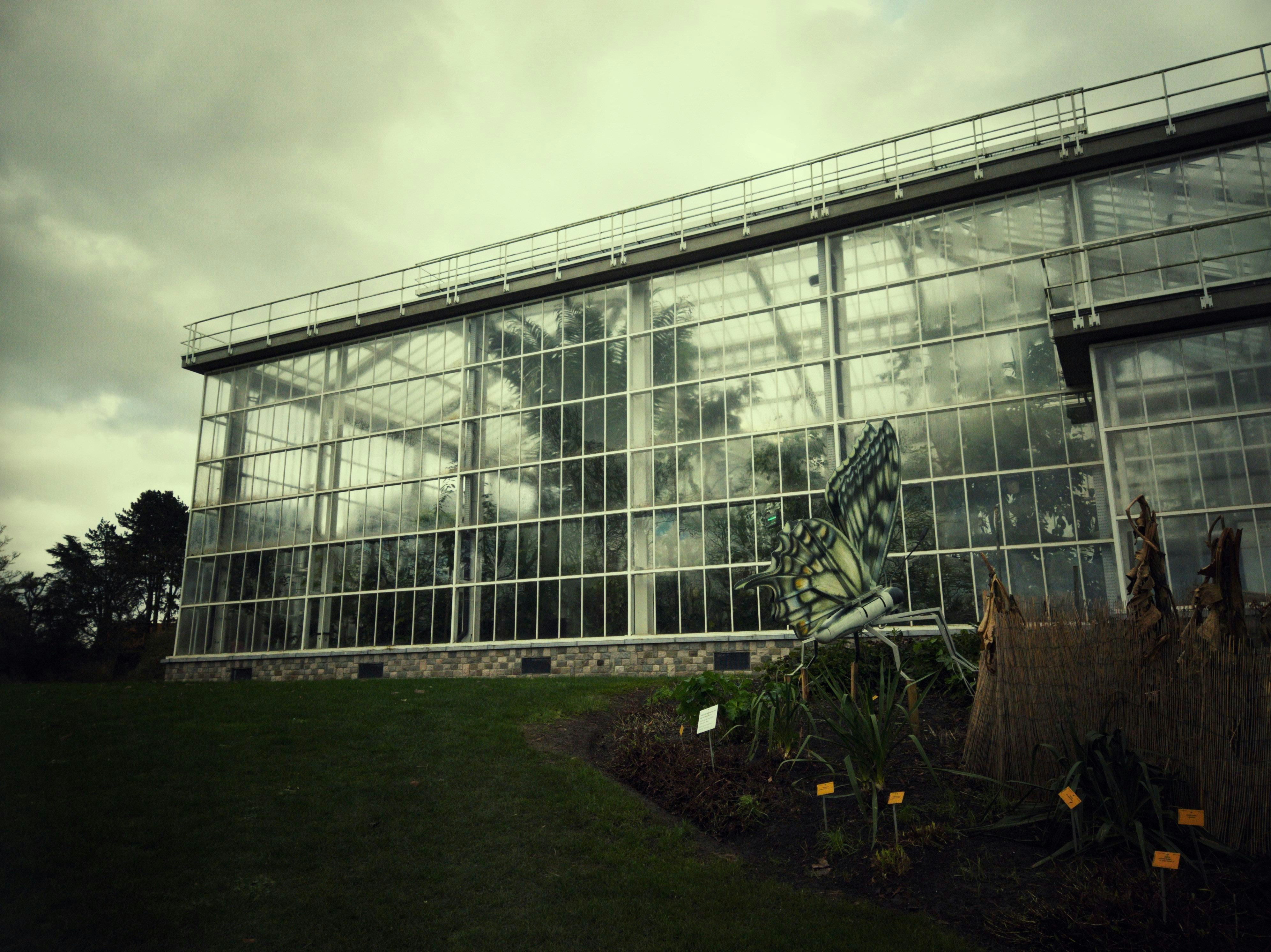 A large greenhouse with reflective glass walls, showcasing a painted butterfly sculpture in the foreground. The scene captures the intersection of nature and architecture.