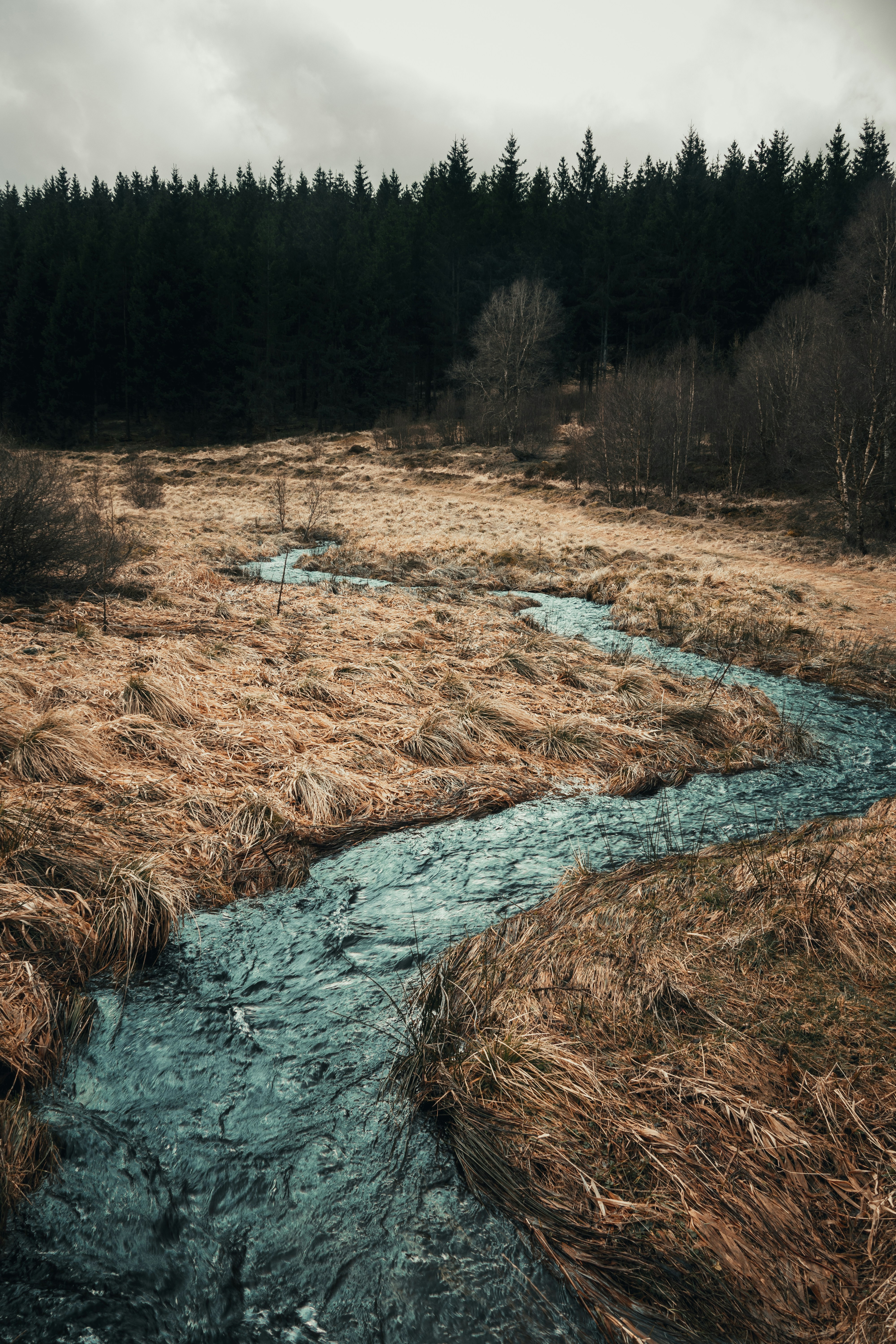 A stream running through a dry grass field photo – Free Nature Image on ...