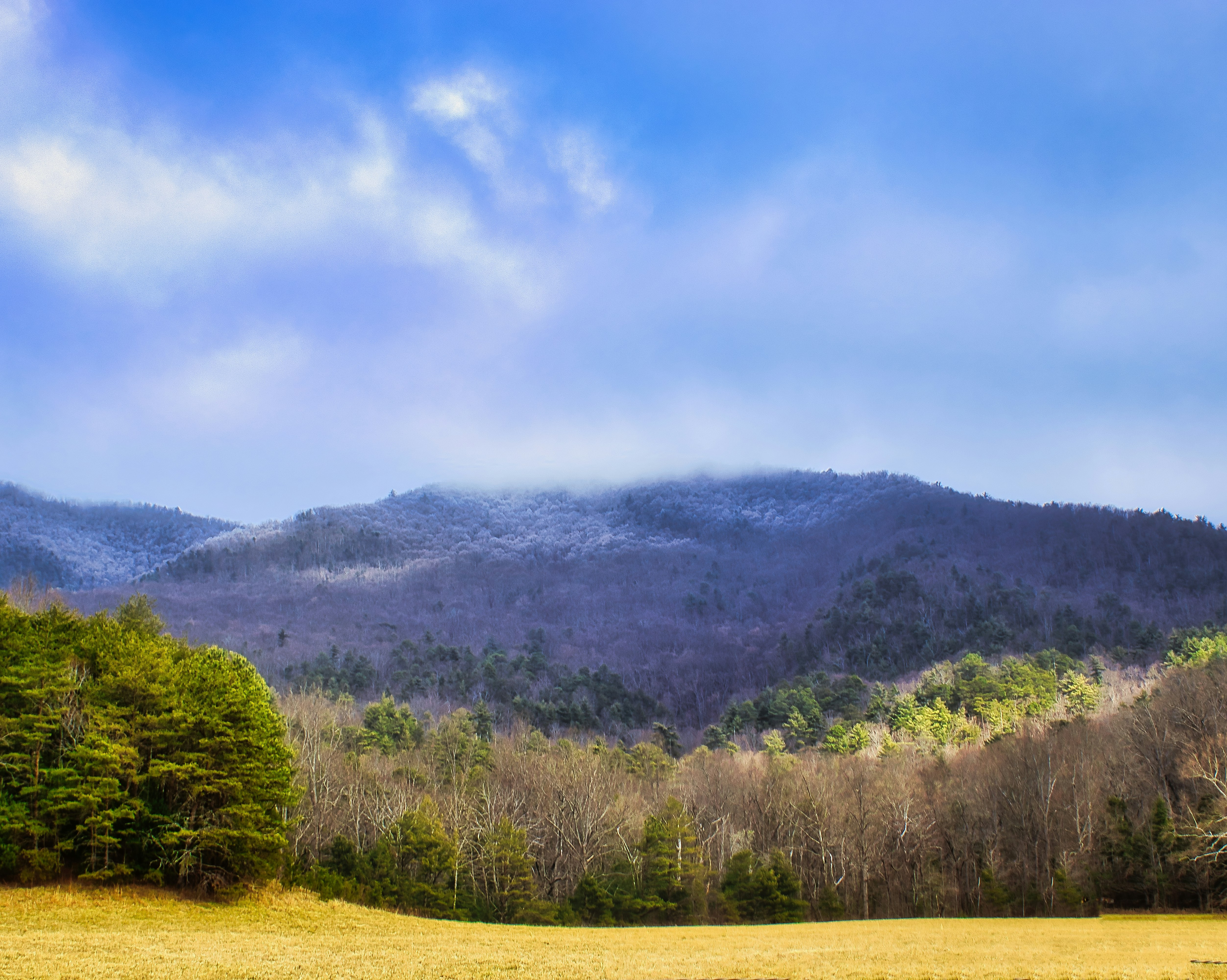 Whispers of the Appalachian Dawn