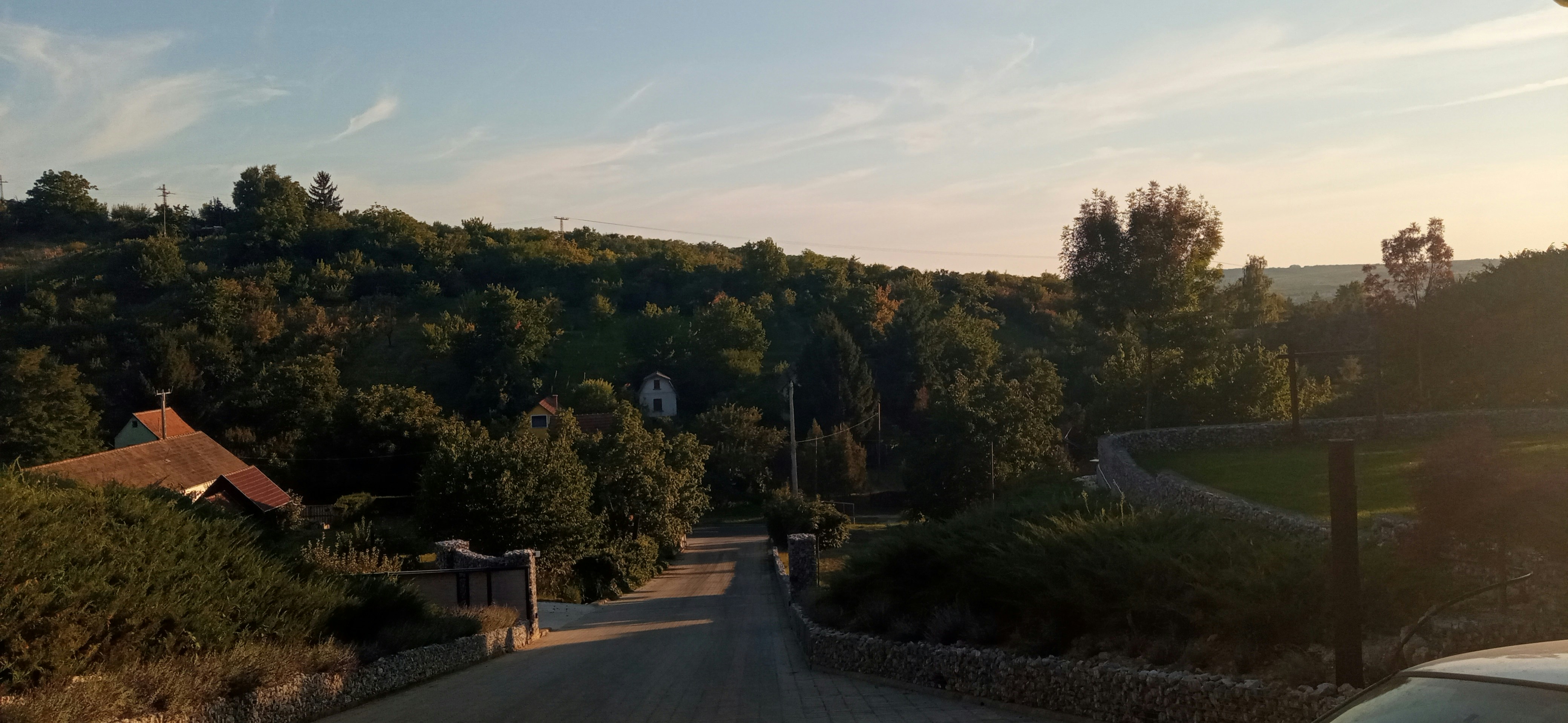 A winding dirt road flanked by lush greenery and rustic homes under a golden sunset. The scene evokes a sense of tranquility and connection with nature.