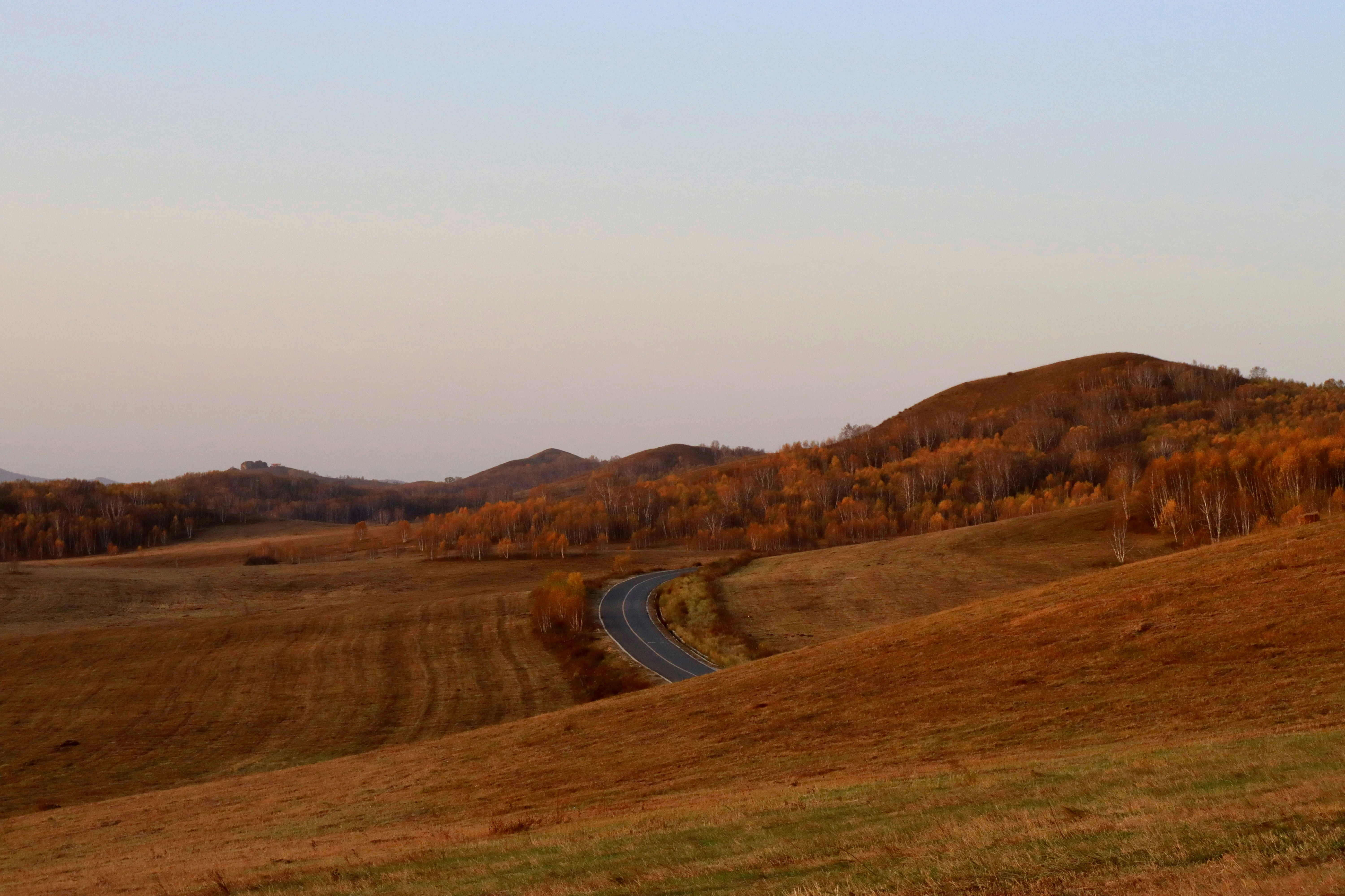 Curving road meanders through golden autumnal hills under a soft evening sky.