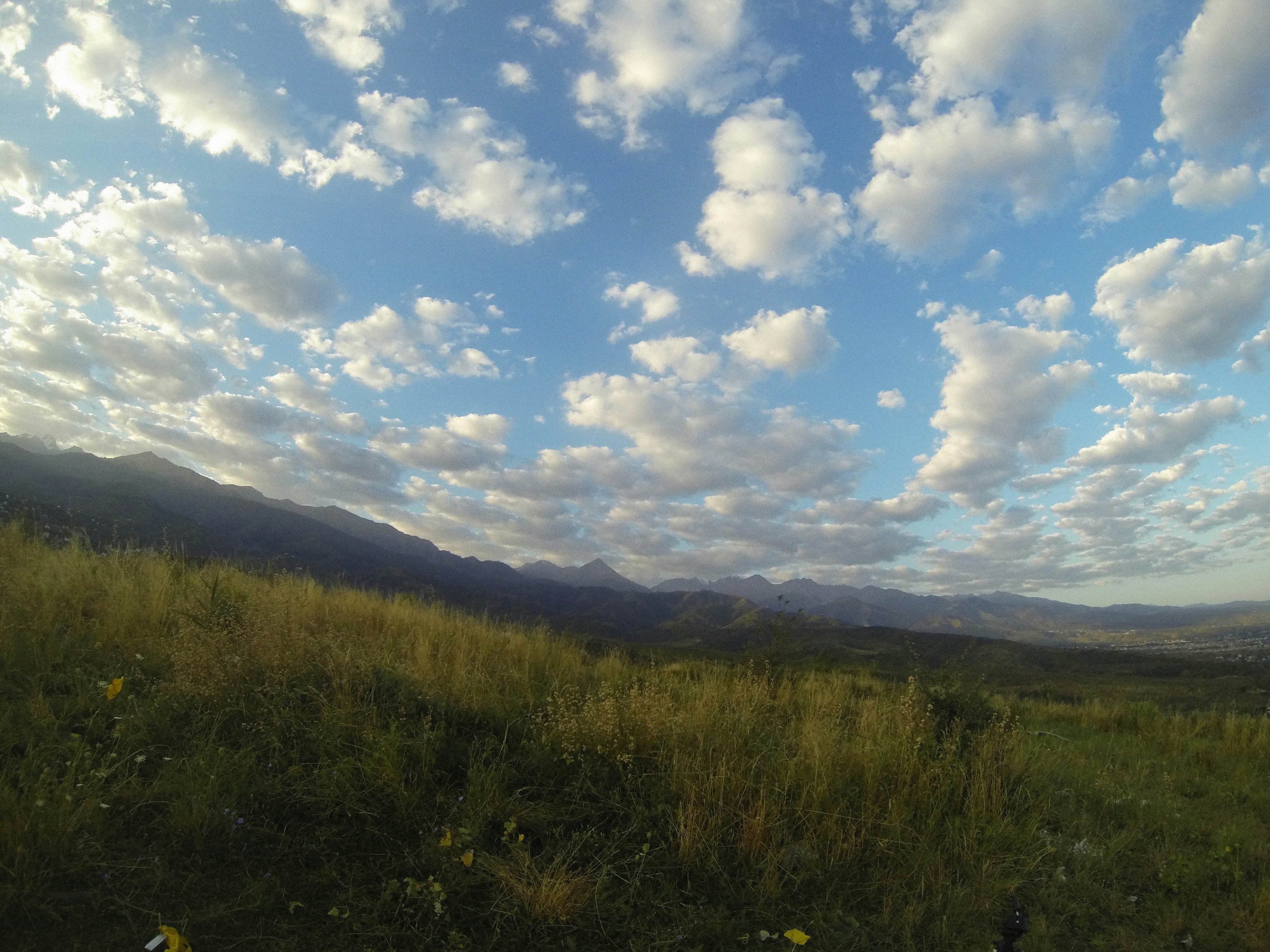Vast landscape featuring rolling mountains under a dynamic sky filled with fluffy clouds and golden grasses in the foreground.