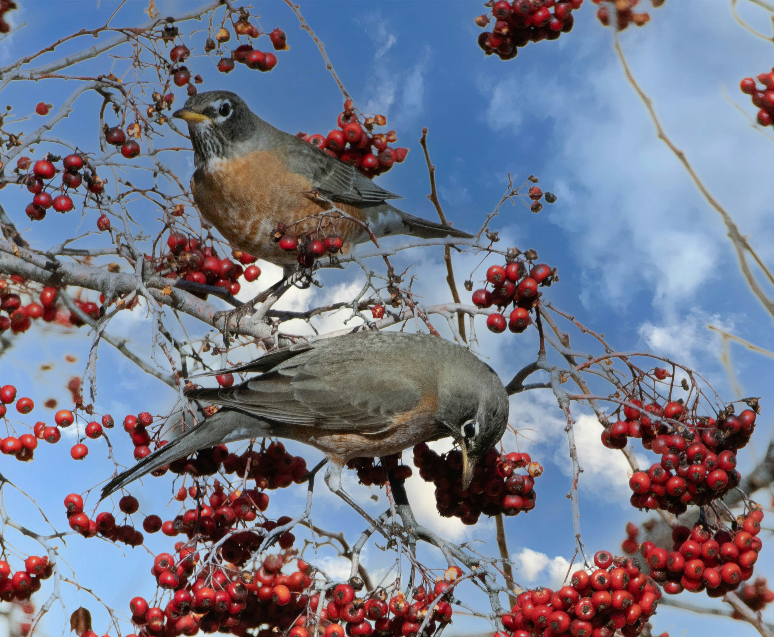 Richard Feaster (@richfeast) | Unsplash Photo Community