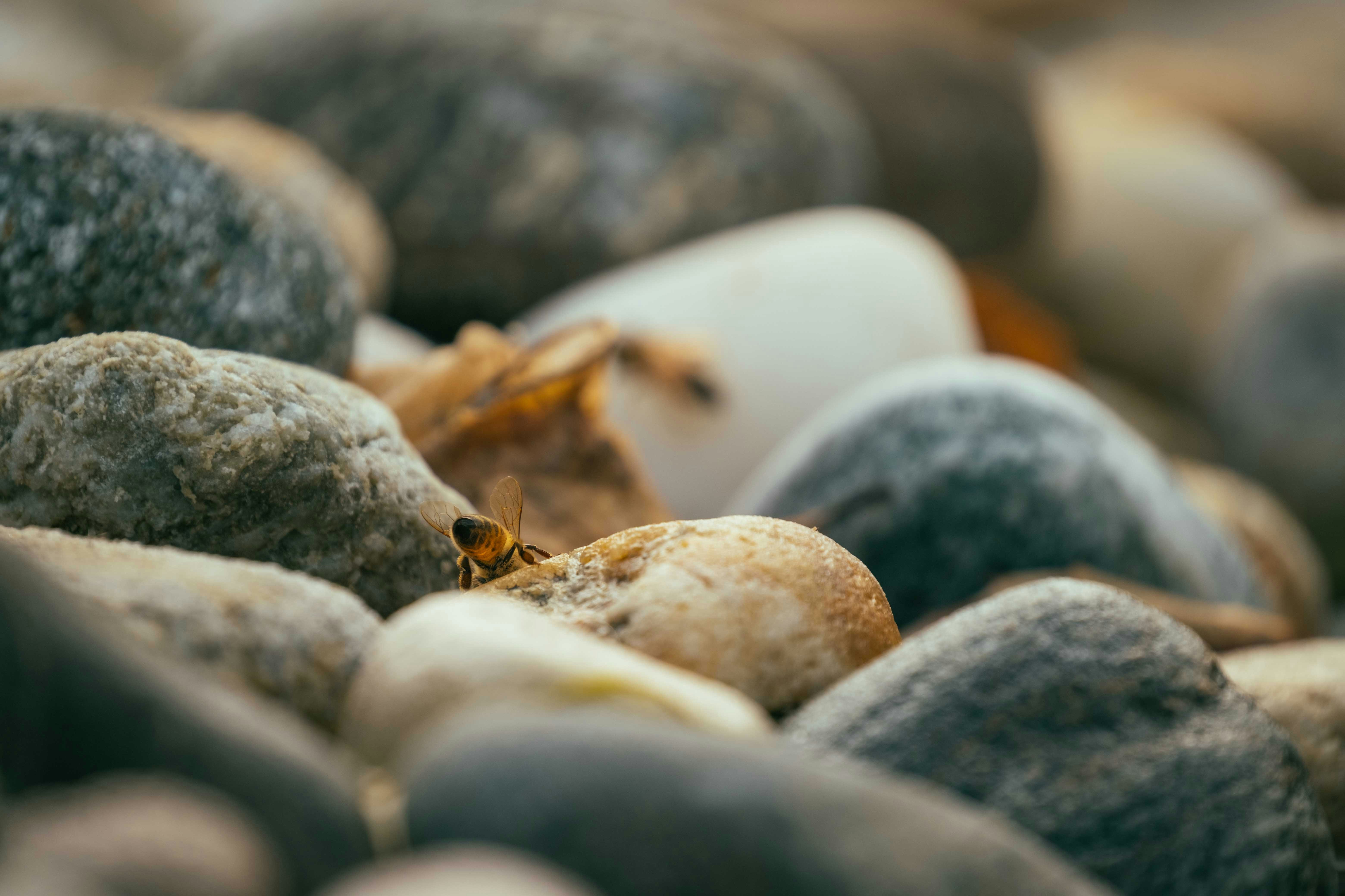 A close up of a rock photo – Free Rock Image on Unsplash