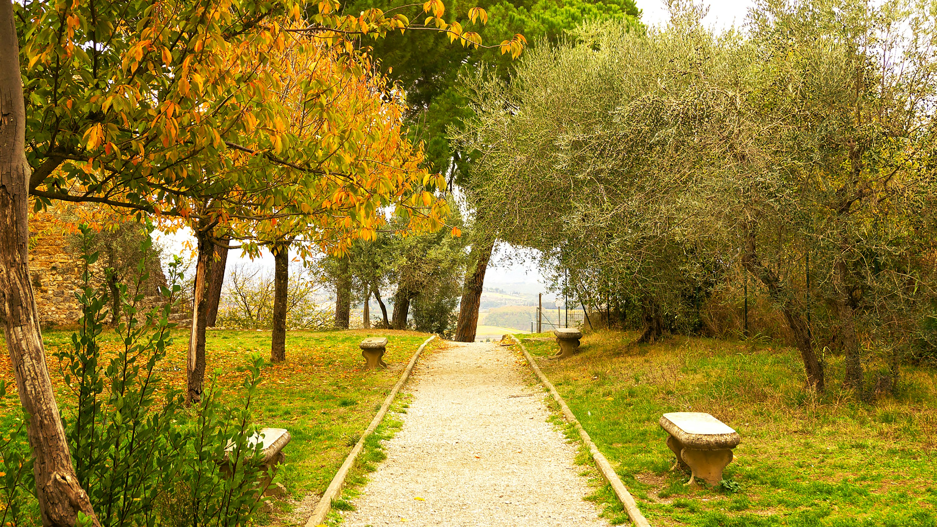 A serene pathway bordered by trees in autumn foliage, leading into a tranquil landscape. The scene invites a peaceful stroll through nature.
