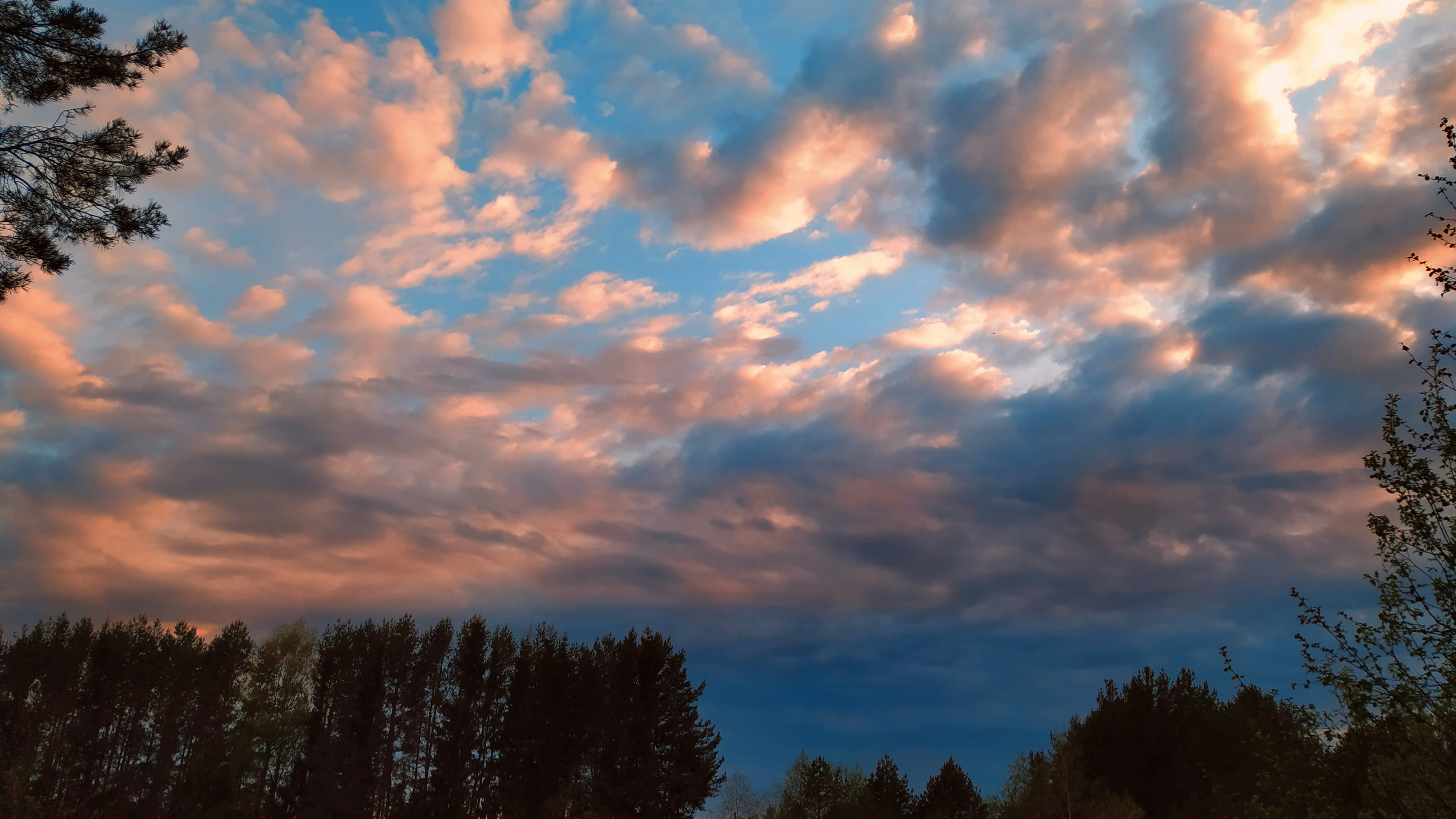 Vibrant clouds painted in hues of pink and blue stretch across the evening sky, framed by silhouettes of tall trees below.