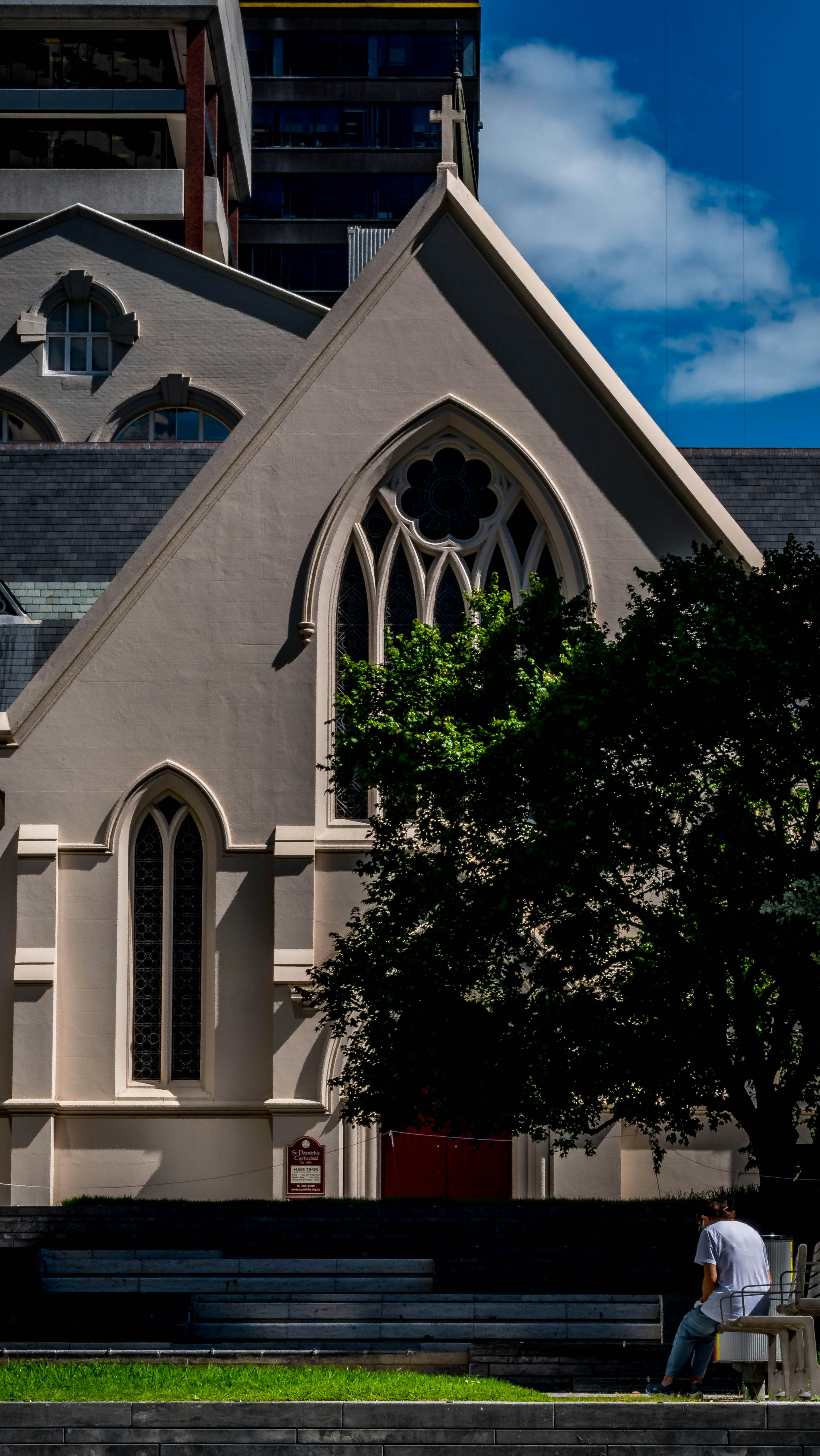 Gothic Cathedral Facade Under Urban Silhouette