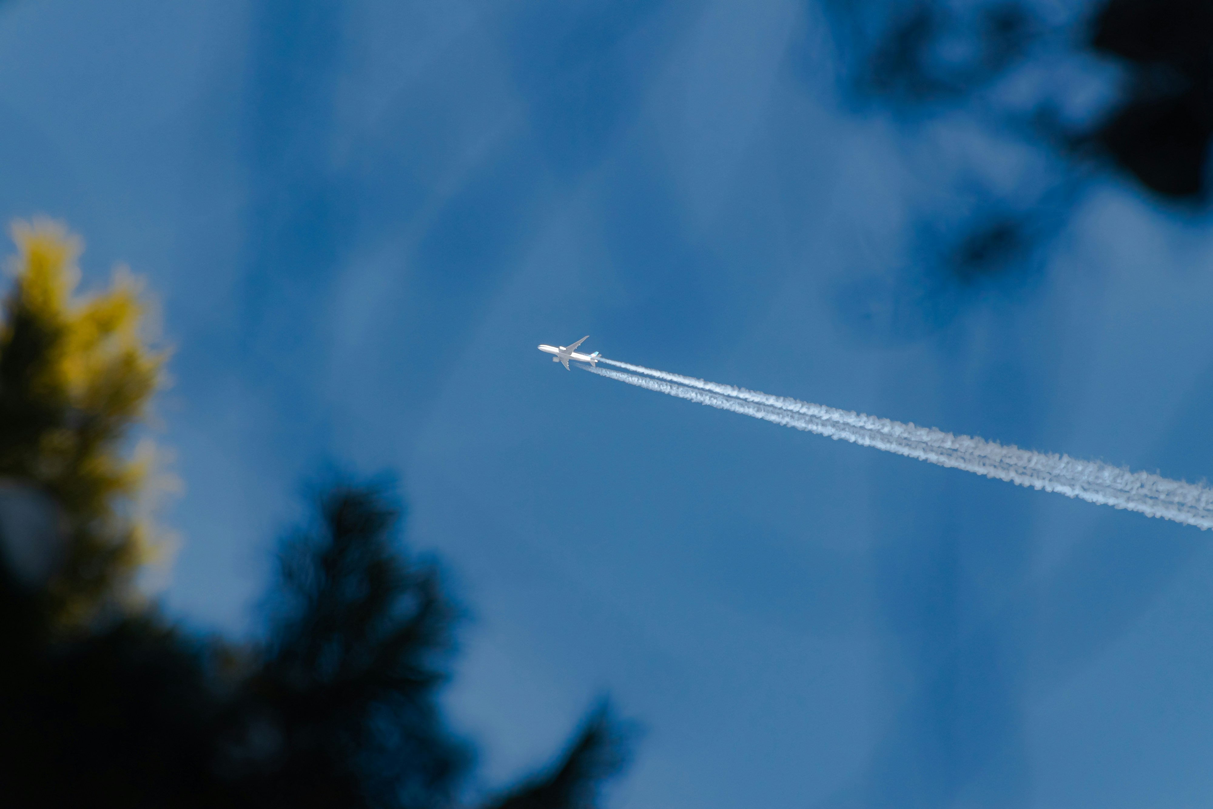 A jet flying through a blue sky with trees in the background photo ...