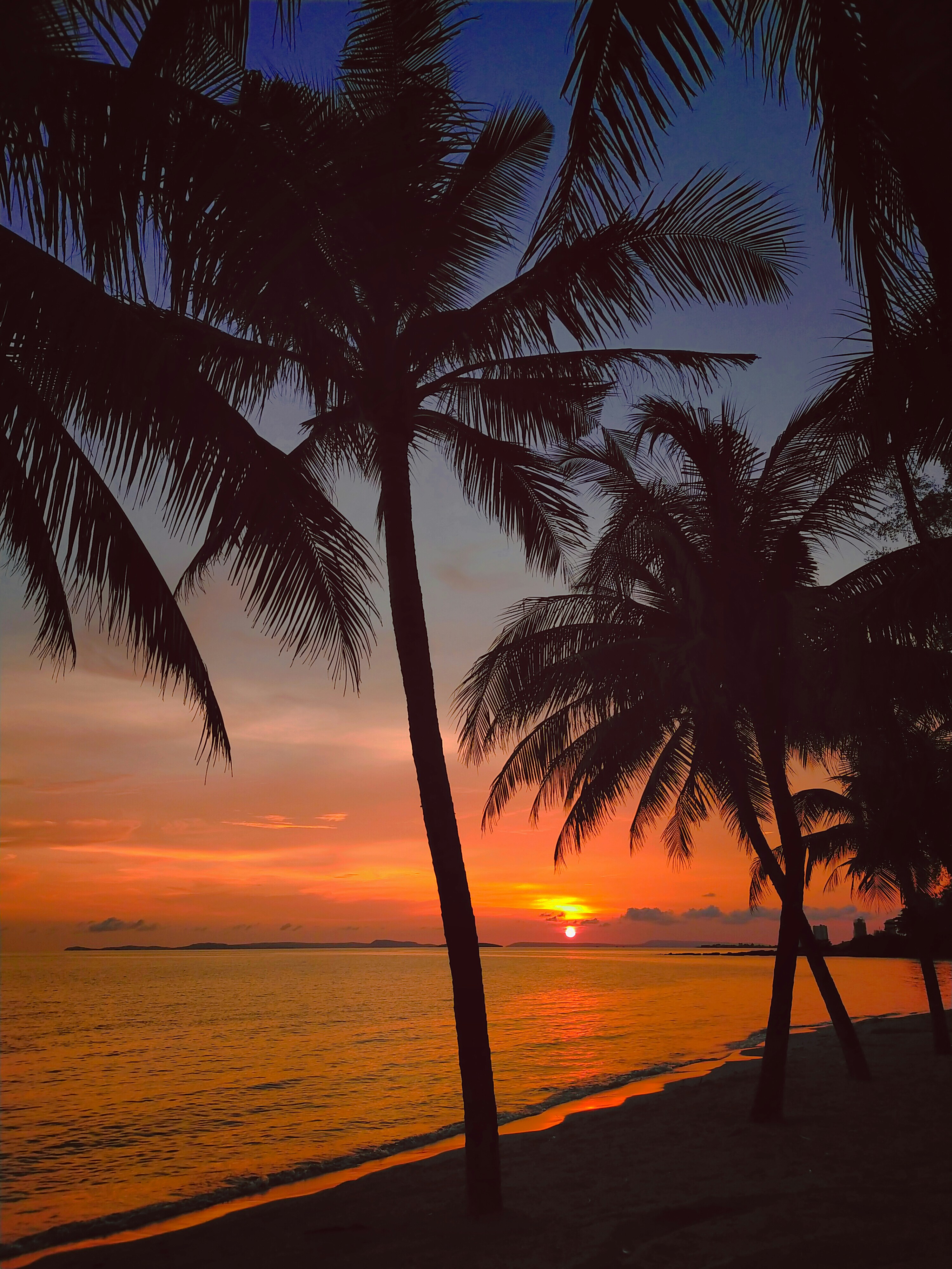 Palm Trees Sunset Beach Desktop Backgrounds