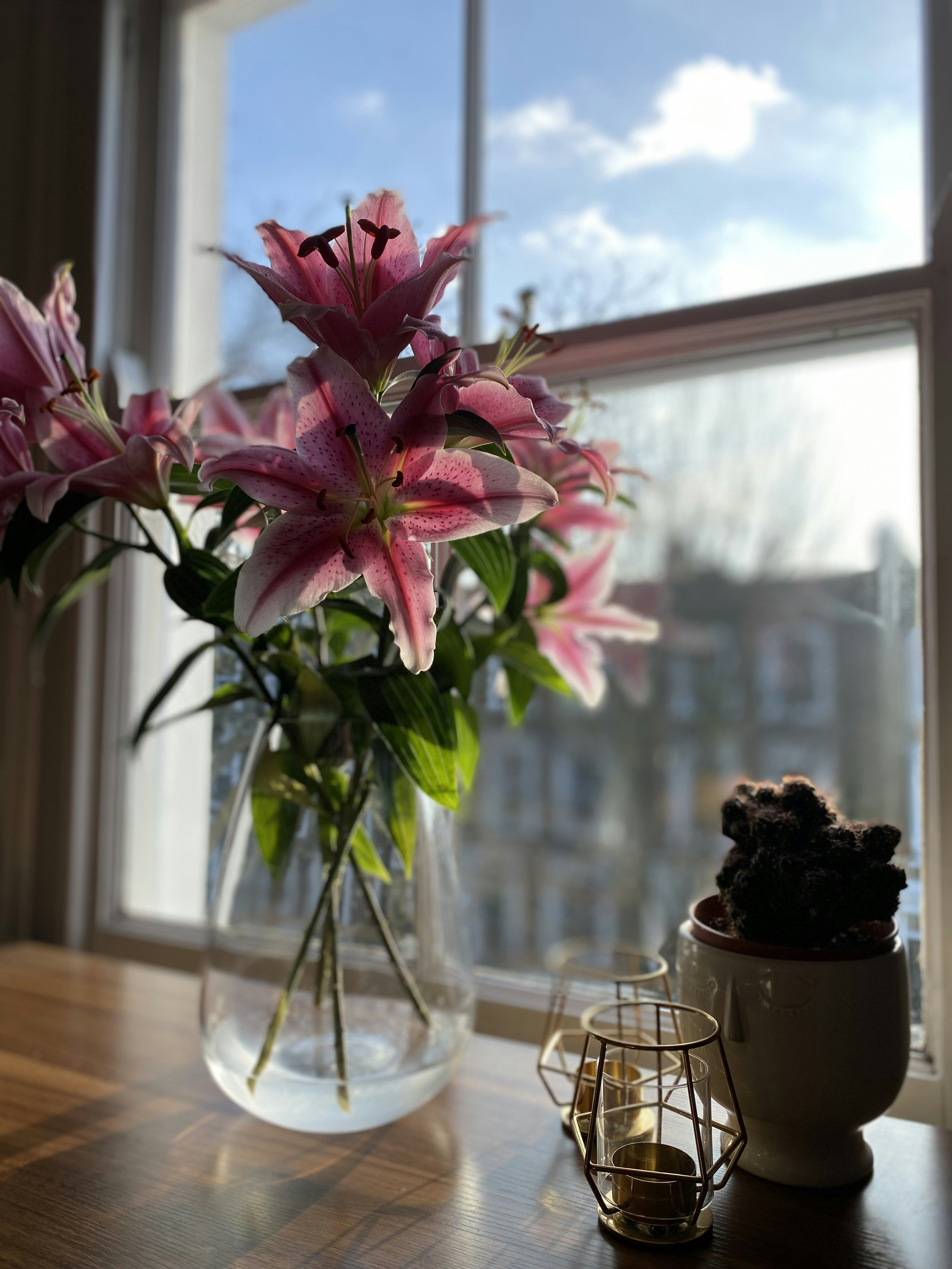 Pink Stargazer Bouquet by the Window