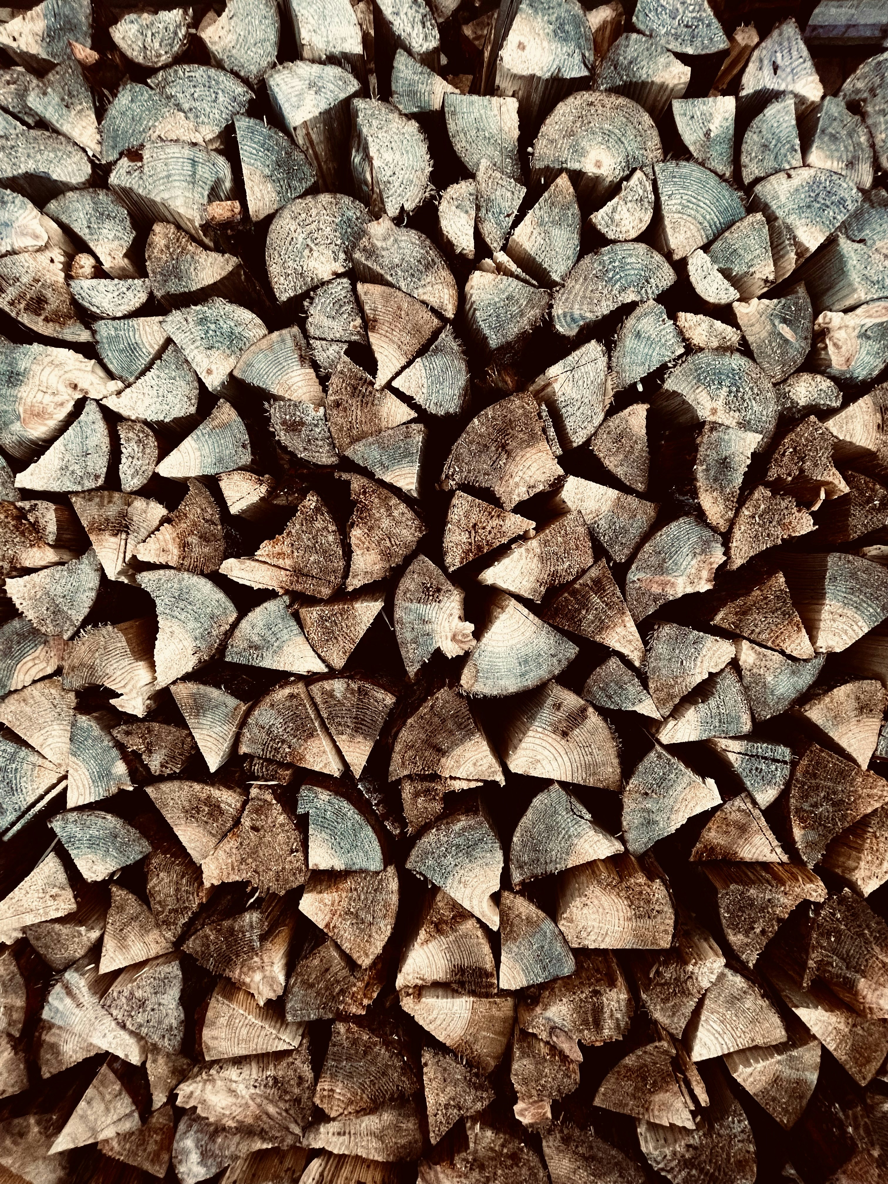 Un tas de bois posé sur un plancher en bois photo – Photo Bois Gratuite ...