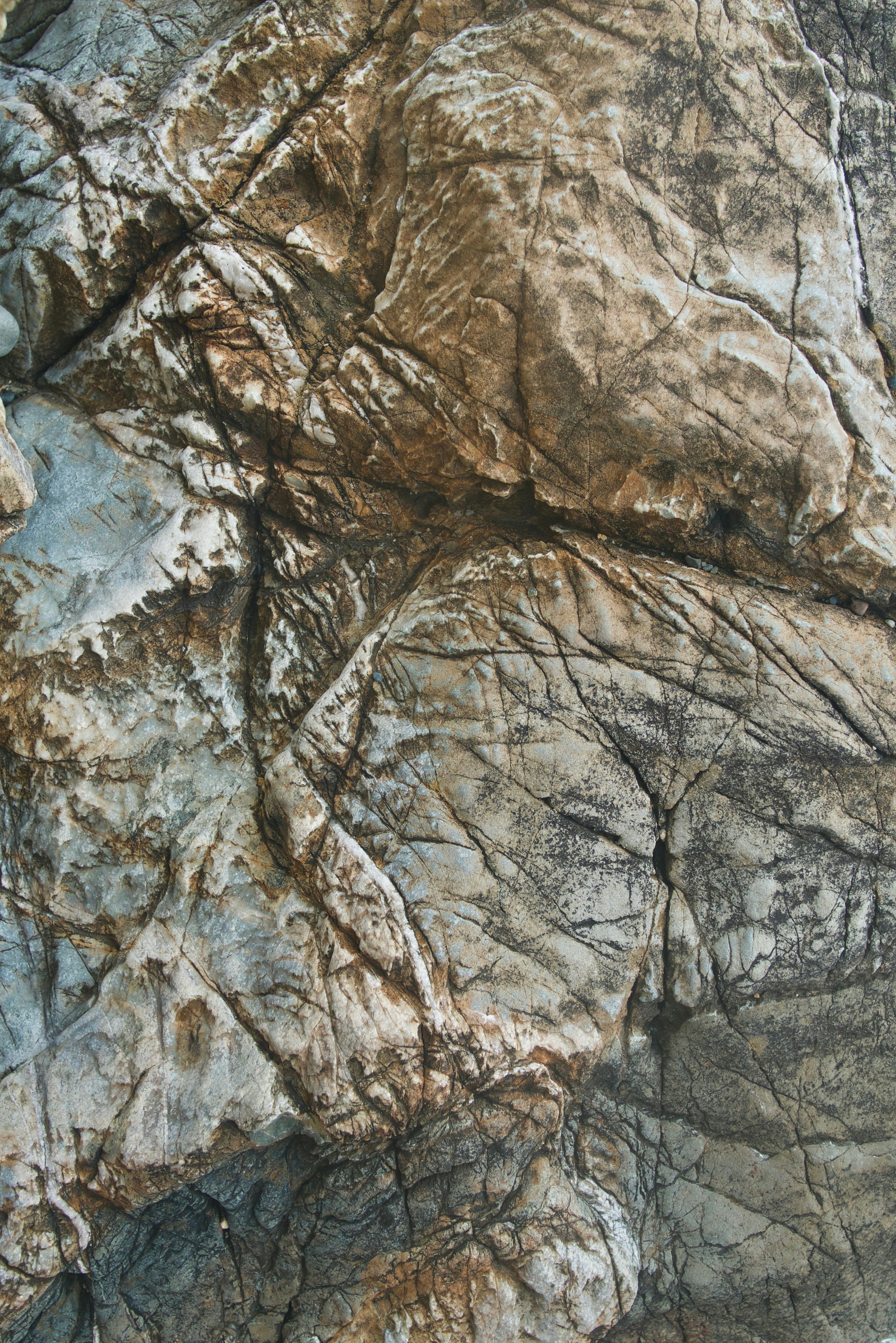 A close up view of a rock face photo – Free Russia Image on Unsplash
