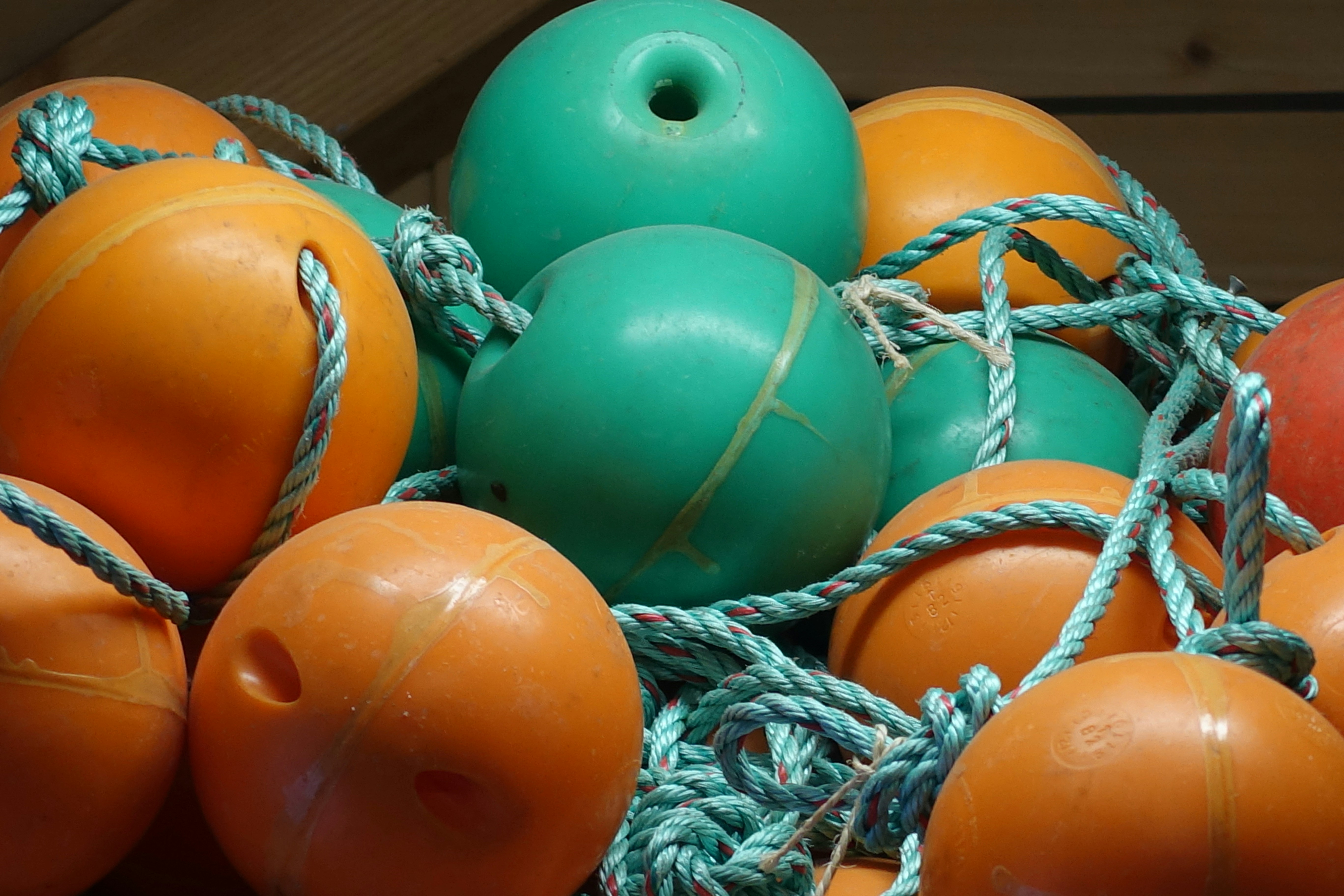 A bunch of oranges and green balls tied together photo – Free Île de ré ...