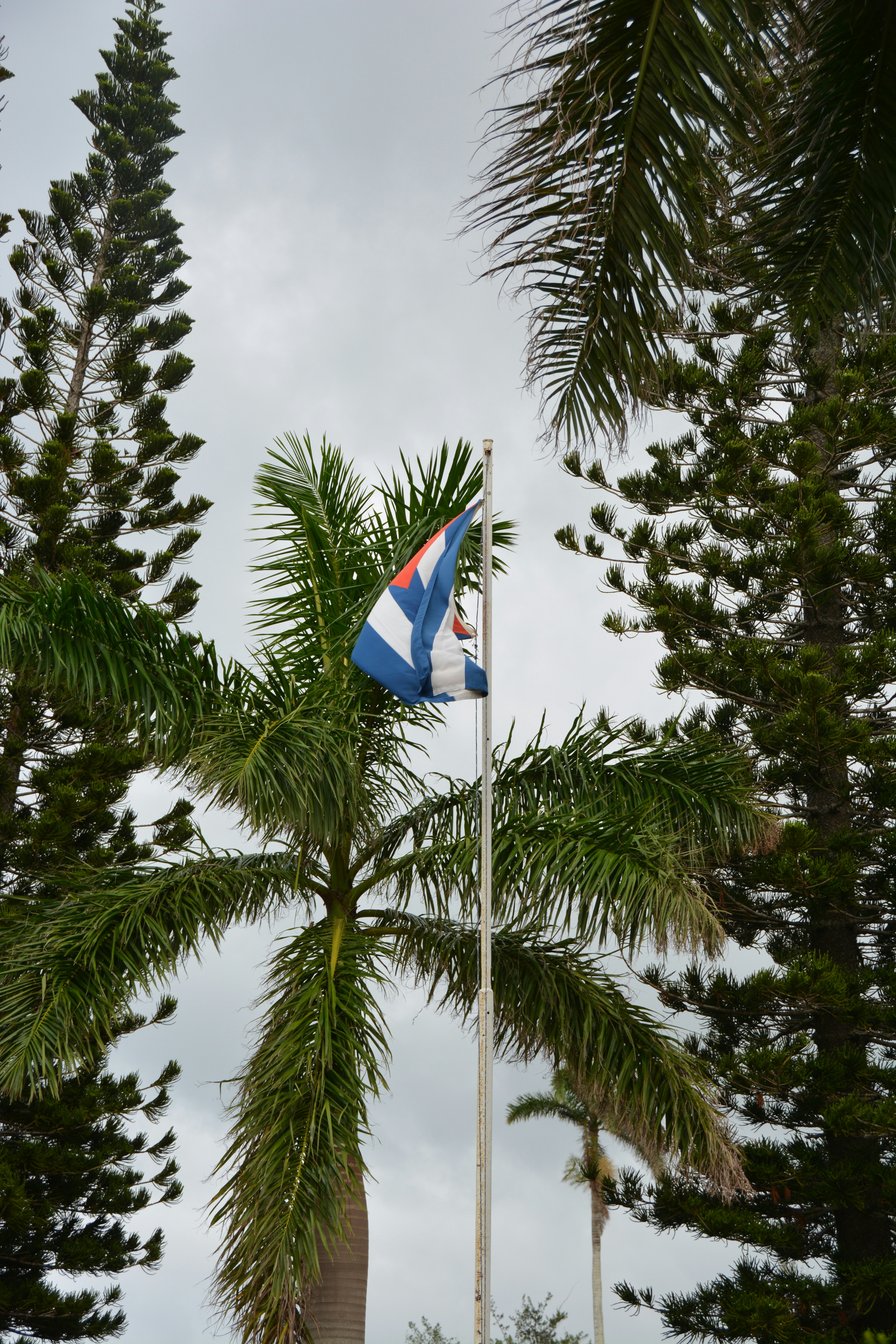 Un drapeau sur un poteau devant des arbres photo – Photo ...