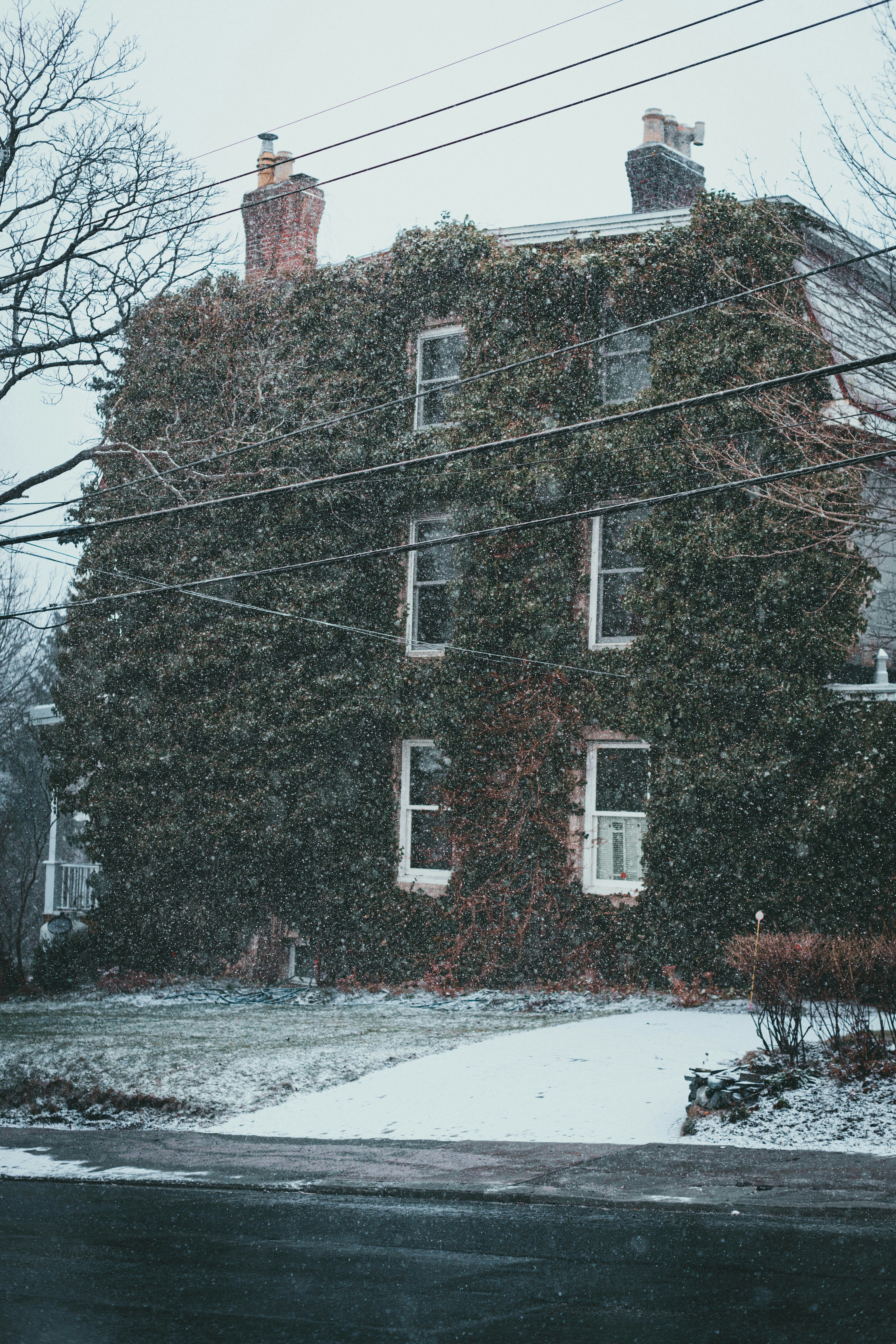Historic house covered in ivy, softly blanketed by falling snow, with power lines cutting through the scene. The tranquil atmosphere hints at a quiet winter day.