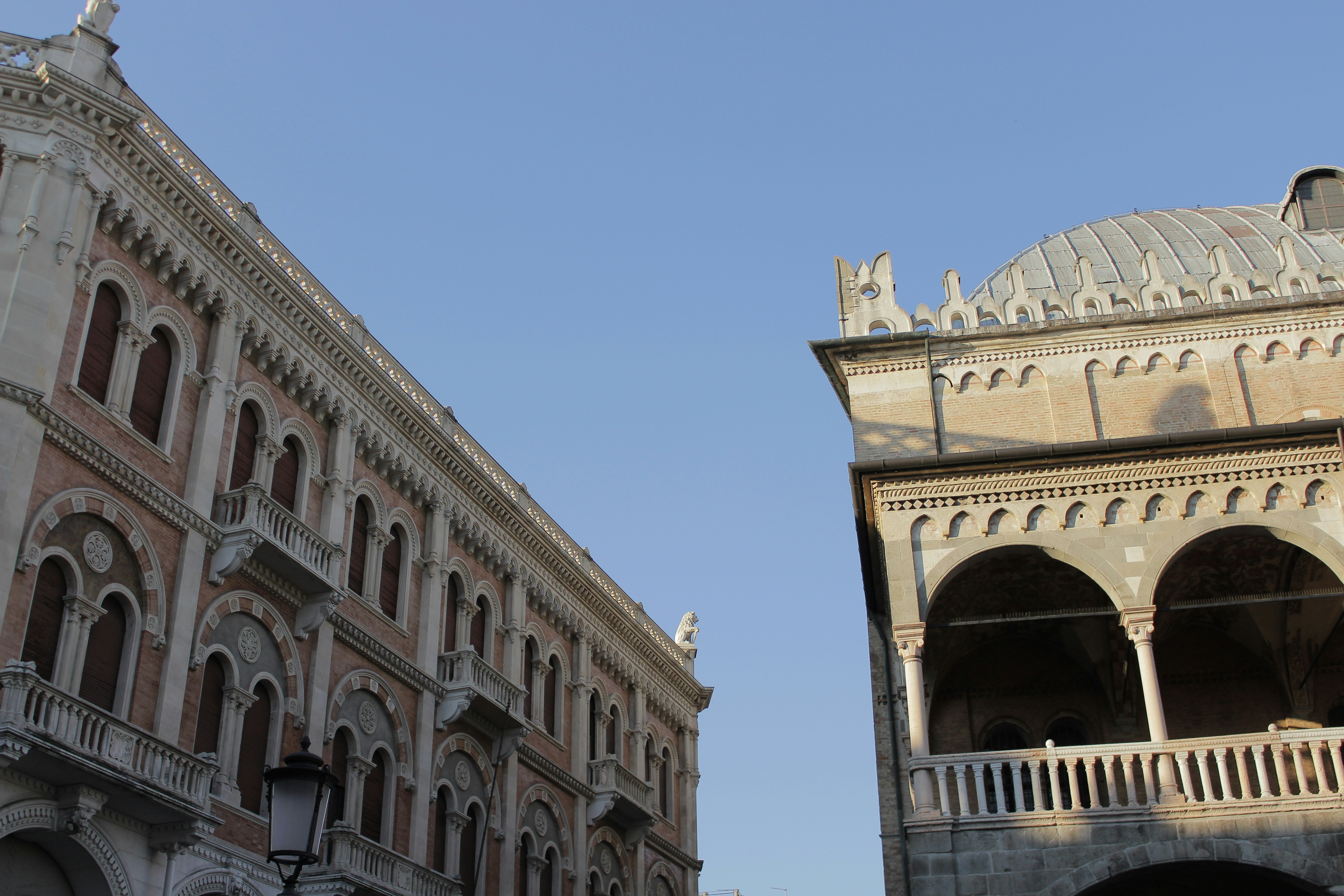 Architectural Elegance in Contrasting Facades