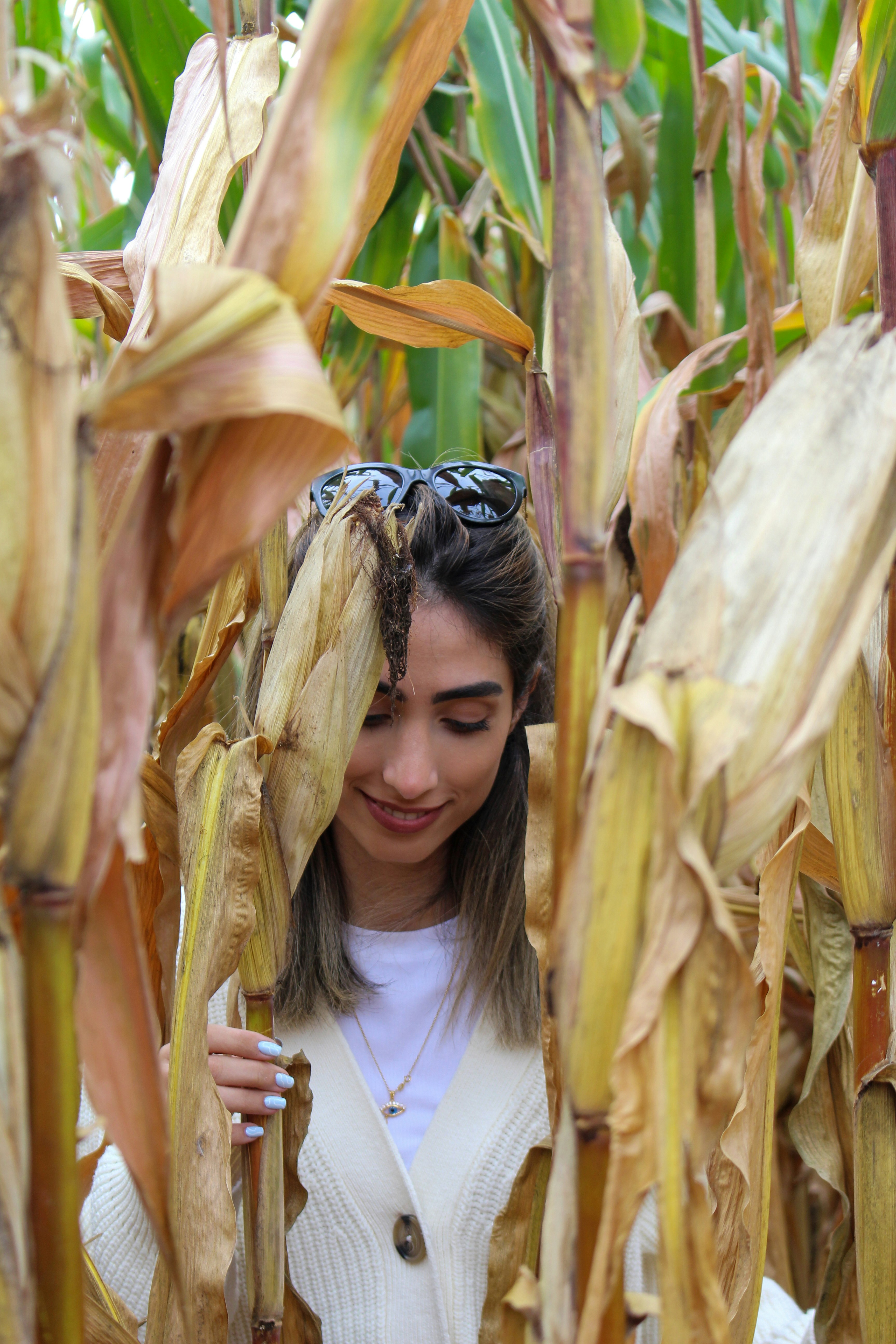 Between Golden Stalks: A Quiet Portrait in the Cornfield