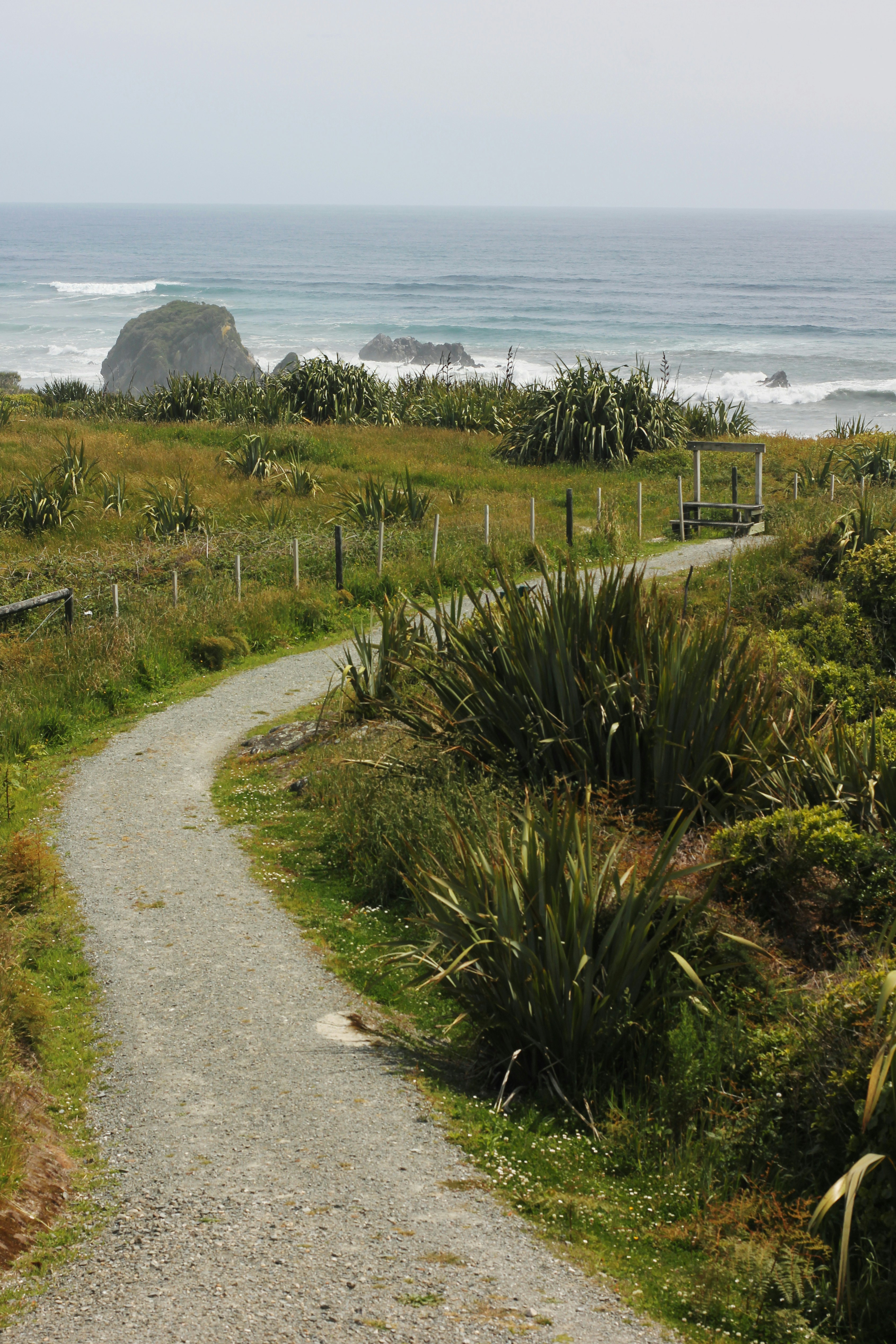 Coastal Path to the Open Sea
