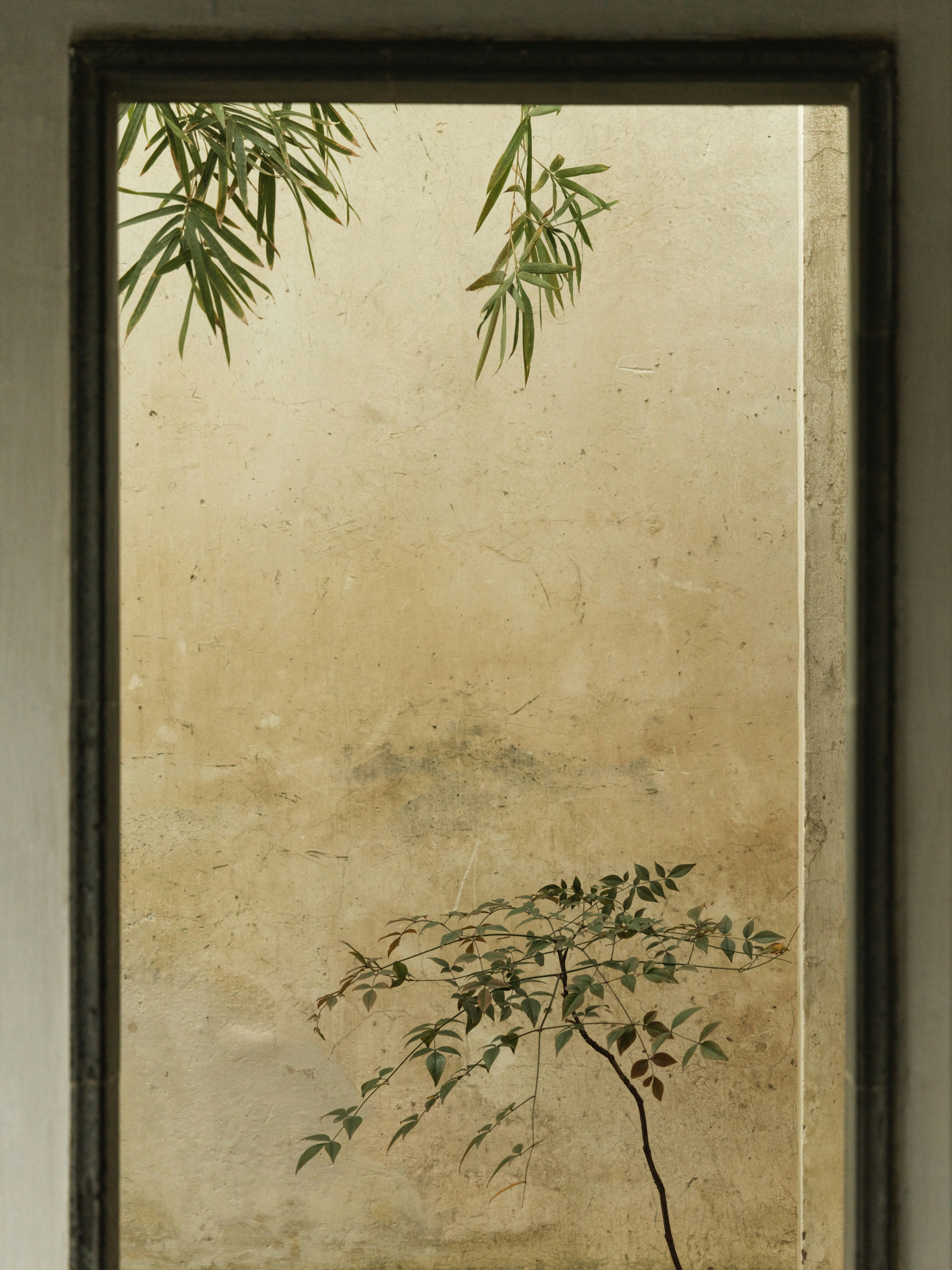 Photo frame in Chinese garden | a painting of a tree in a vase on a table