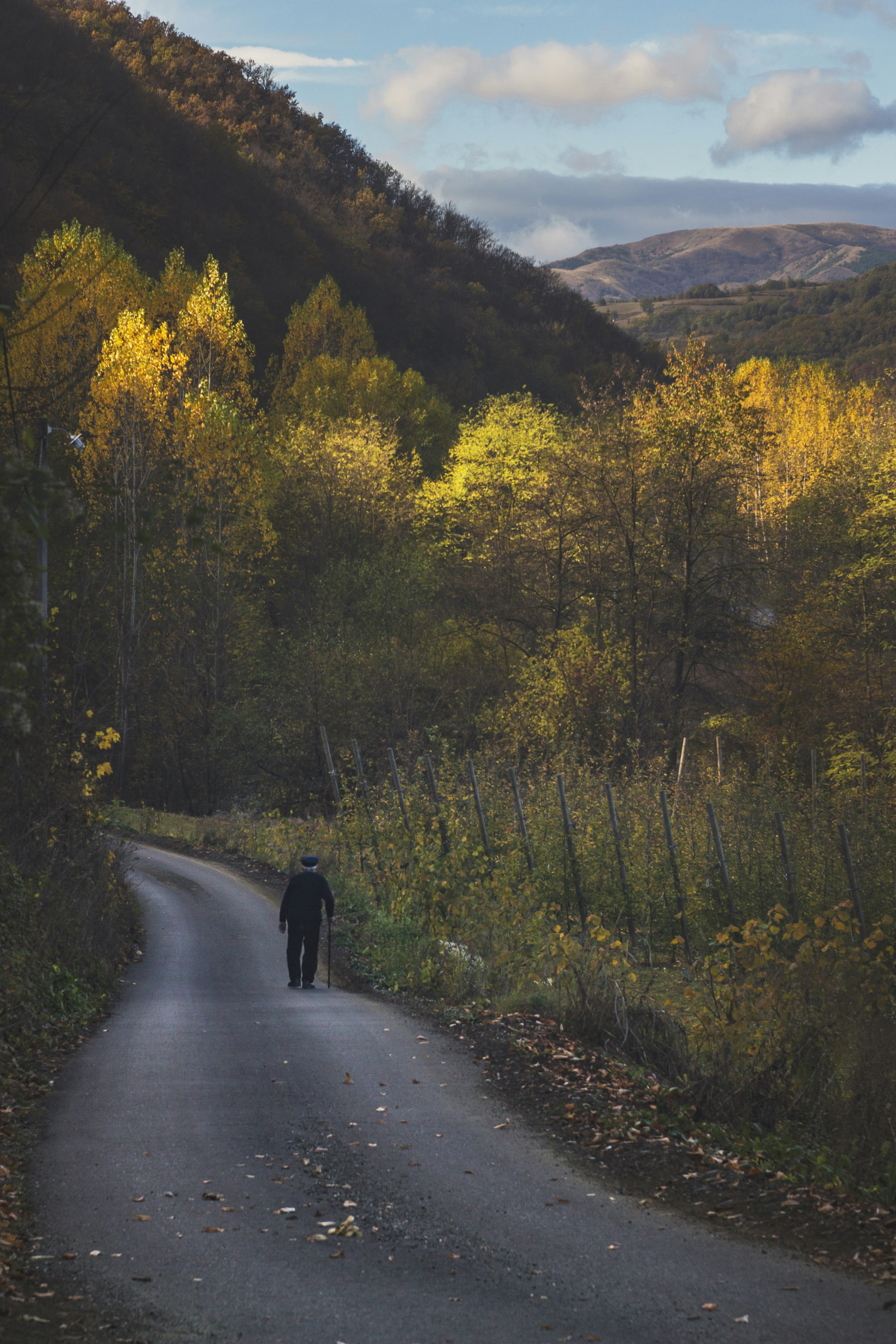 Gold Lane: A solitary figure on a winding autumn road