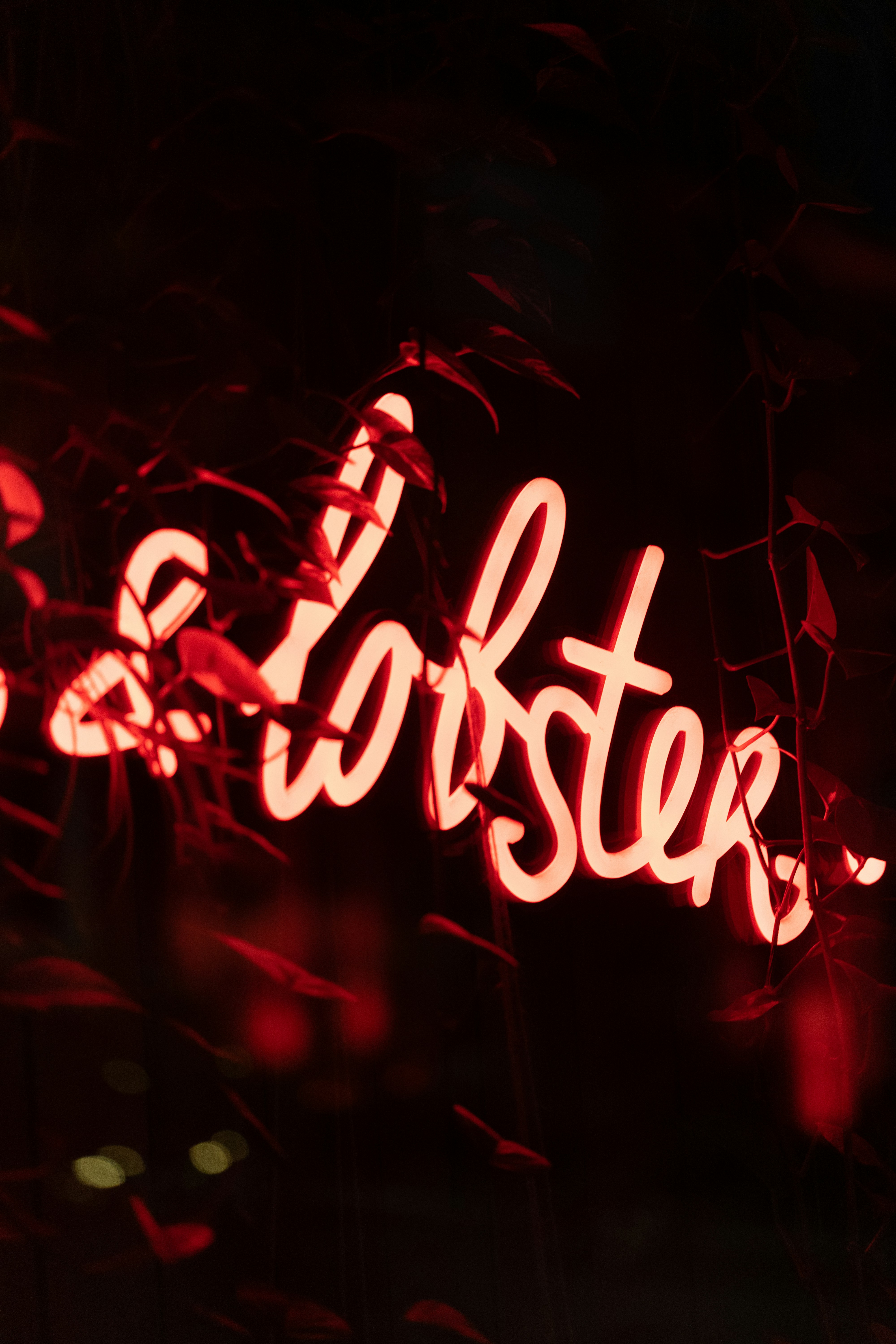 A red neon sign that says sister on it photo – Free London Image on ...