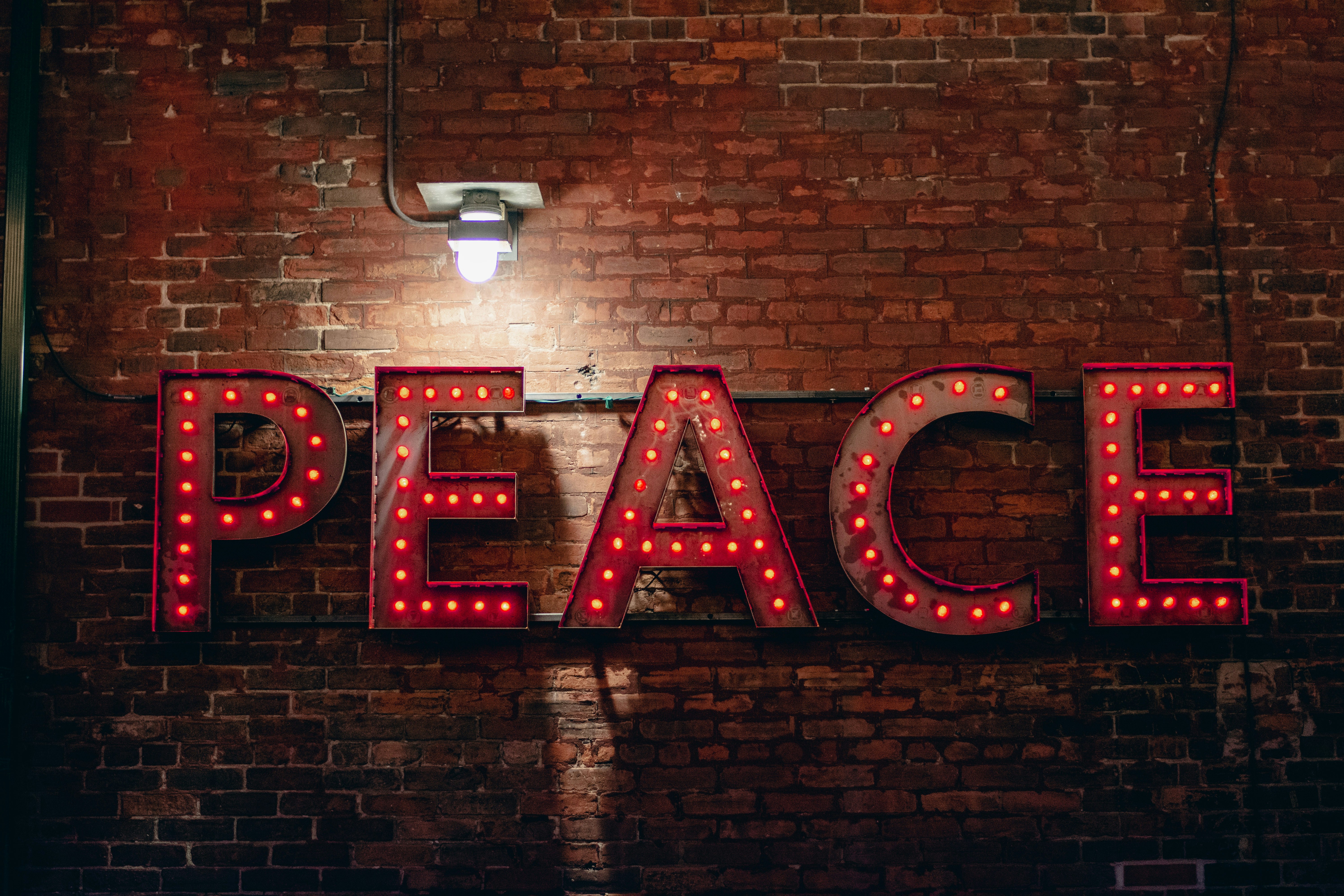 100+ Peace Pictures | Download Free Images on Unsplash