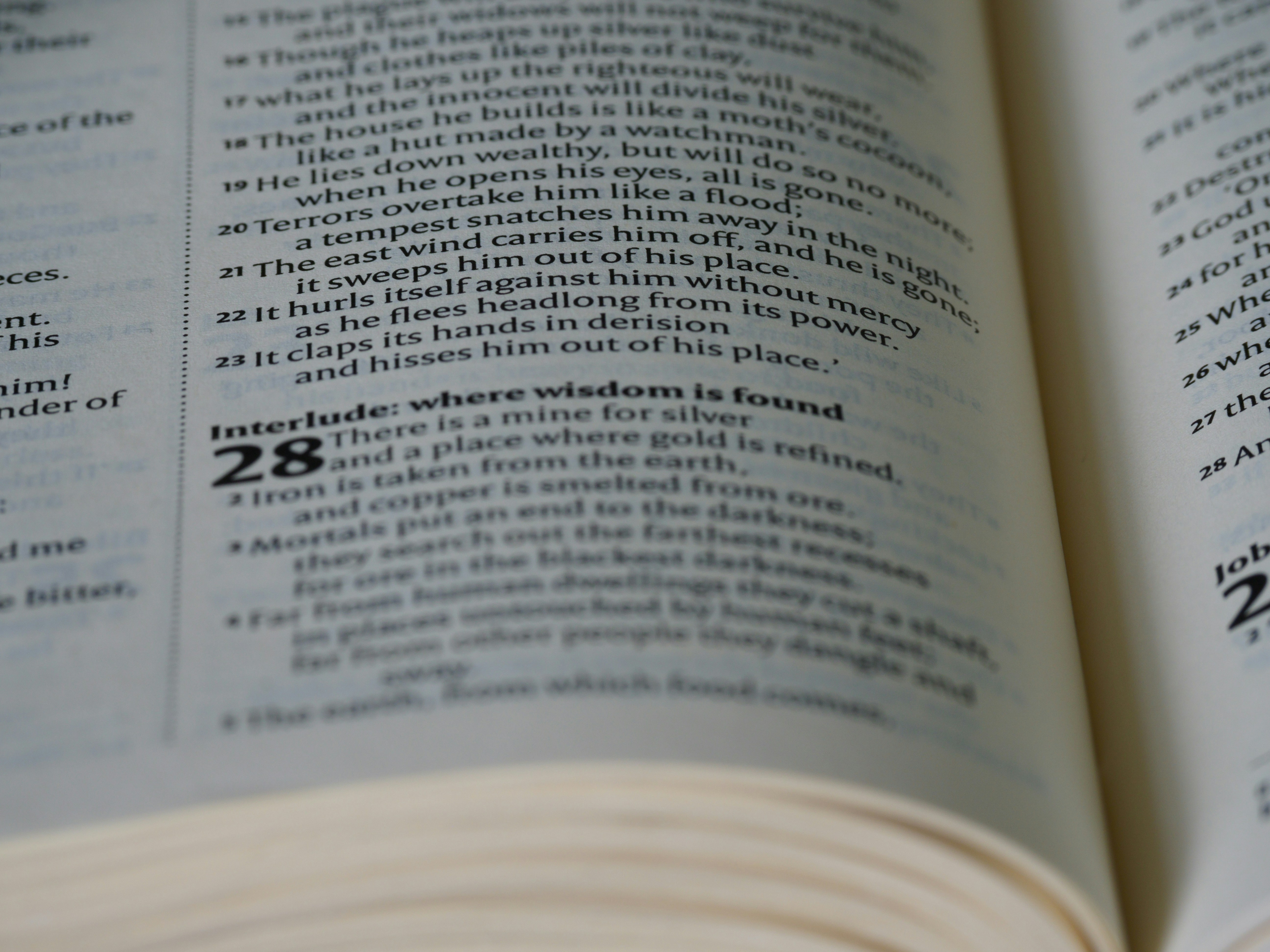 A close up of an open book with numbers on it photo – Free Grey Image ...